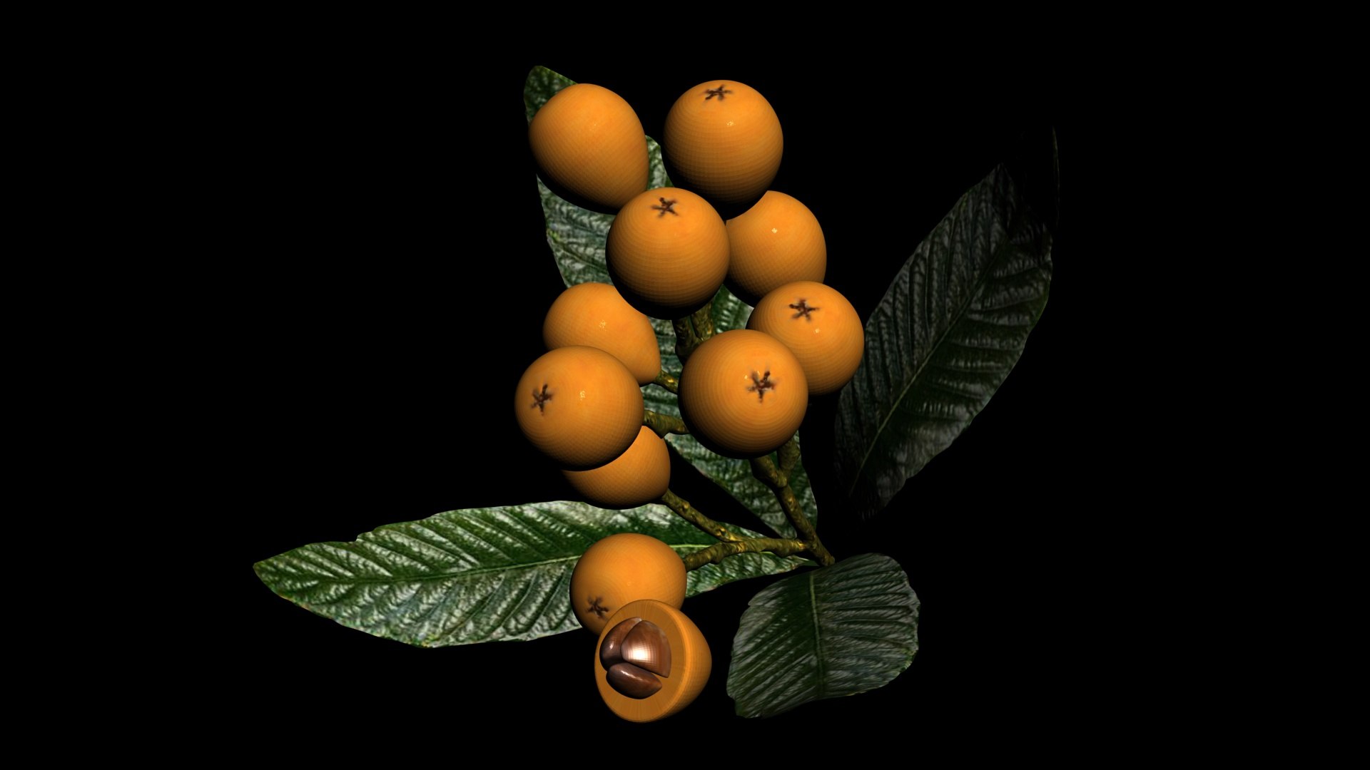 3D Loquat Fruit Model - TurboSquid 2297619