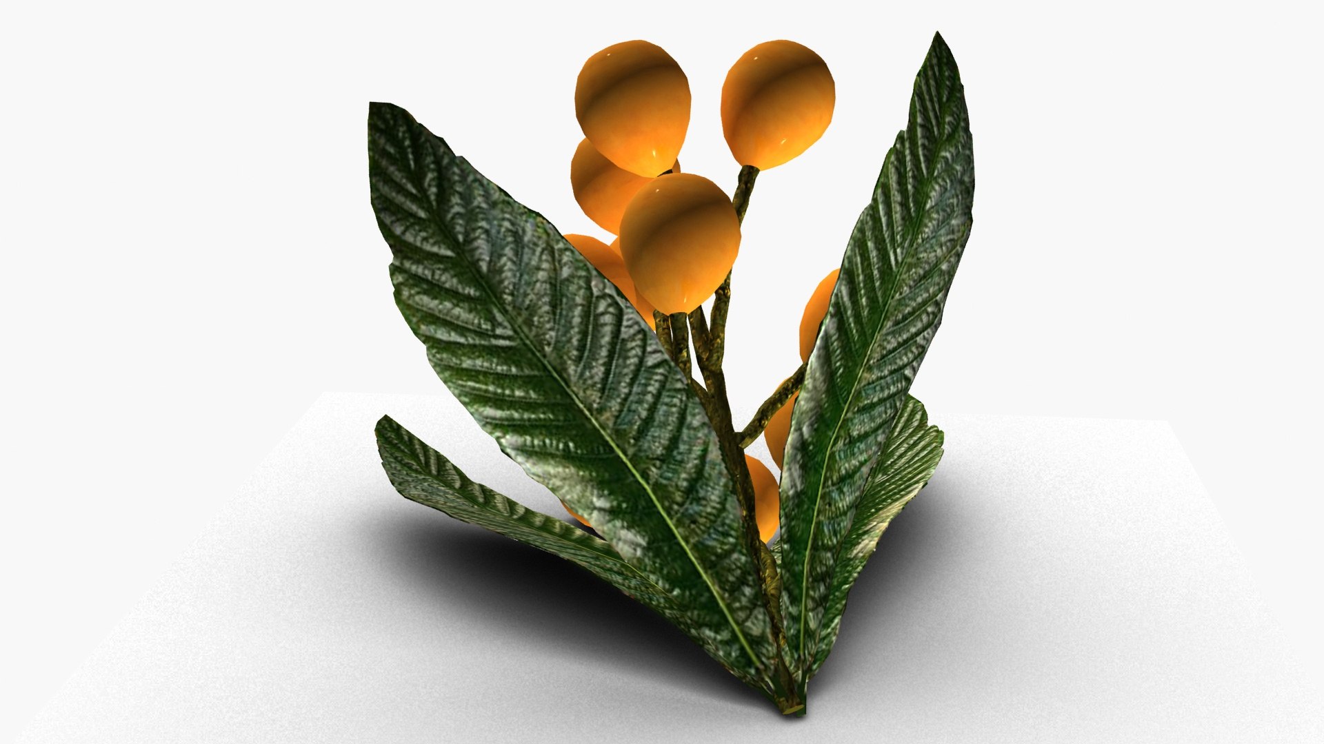 3D Loquat Fruit Model - TurboSquid 2297619