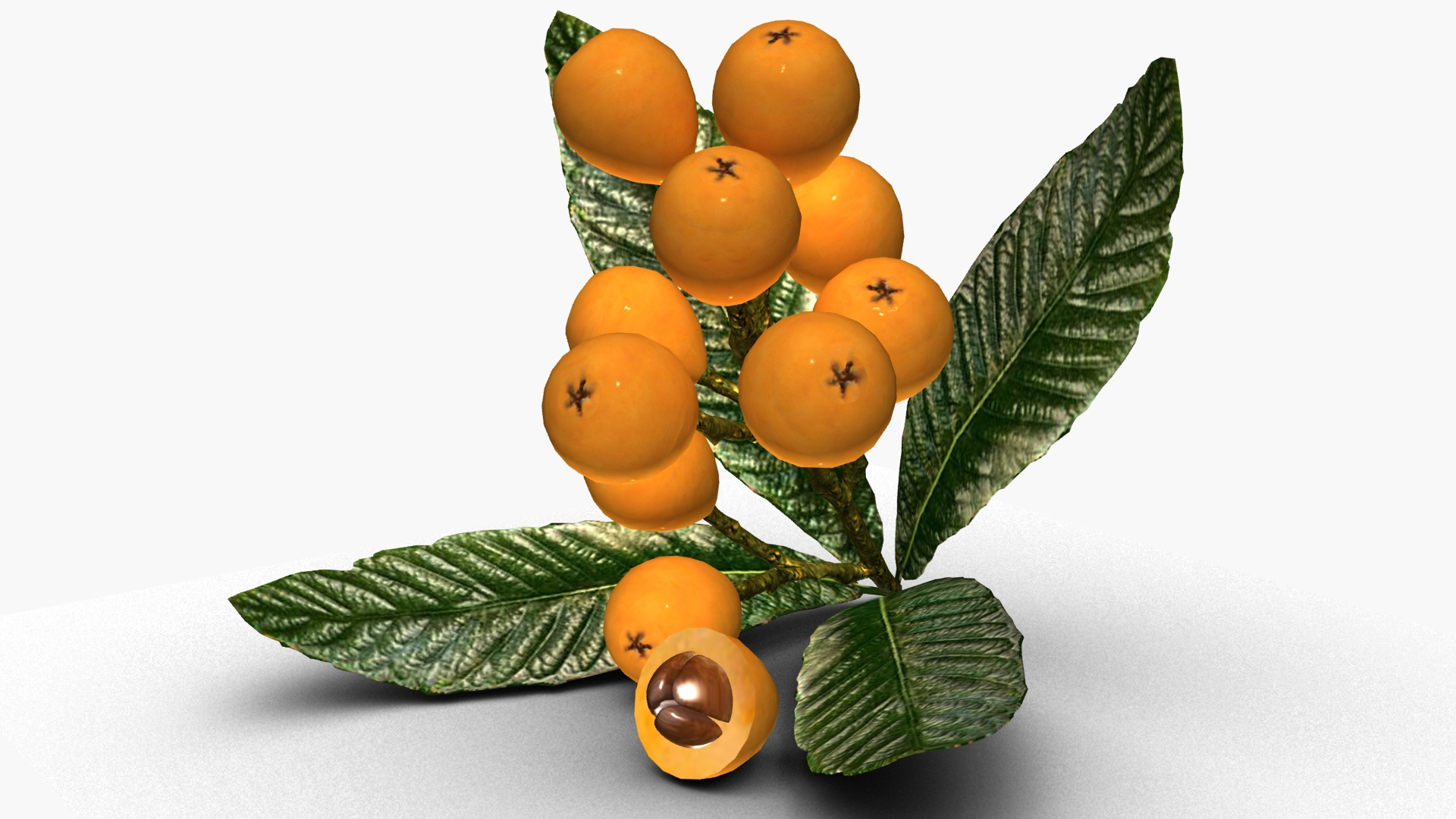 3D Loquat Fruit Model - TurboSquid 2297619
