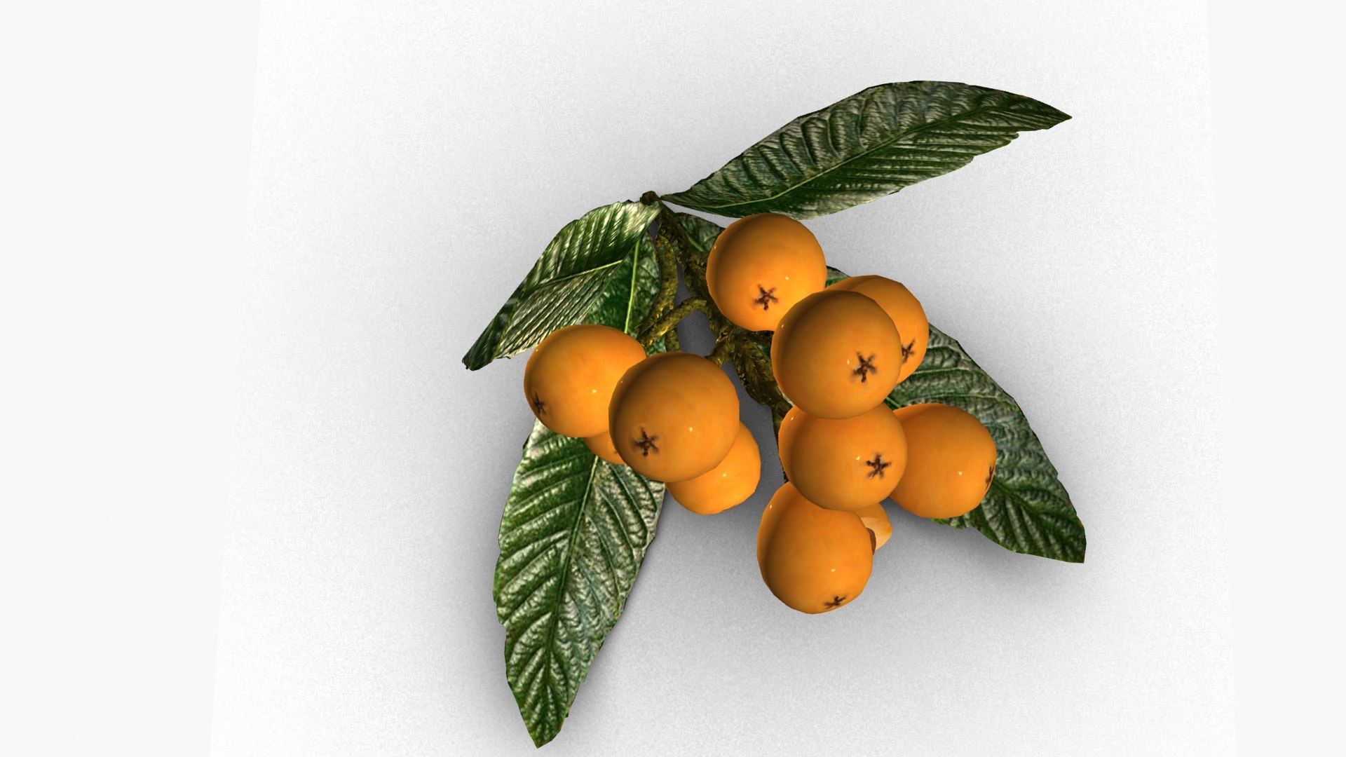 3D Loquat Fruit Model - TurboSquid 2297619