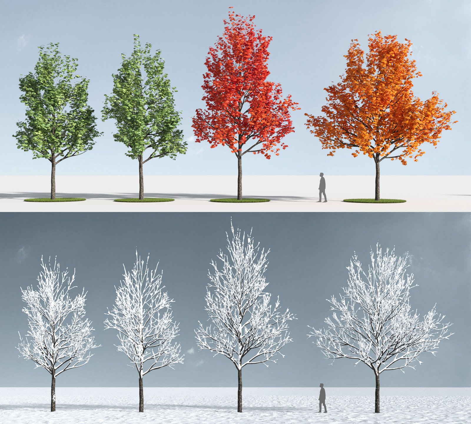 3D trees 3 - TurboSquid 1349218
