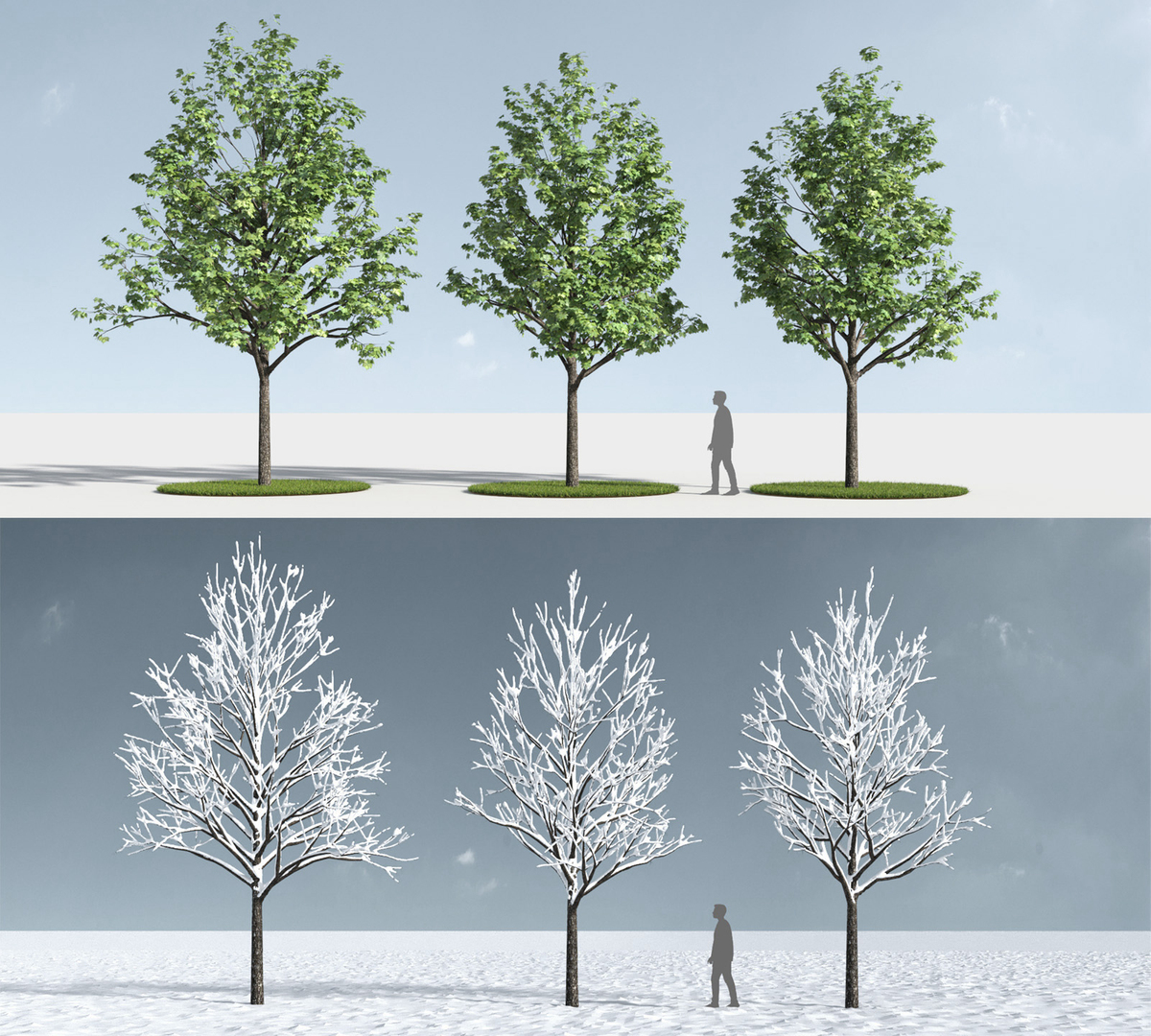 3D trees 3 - TurboSquid 1349218