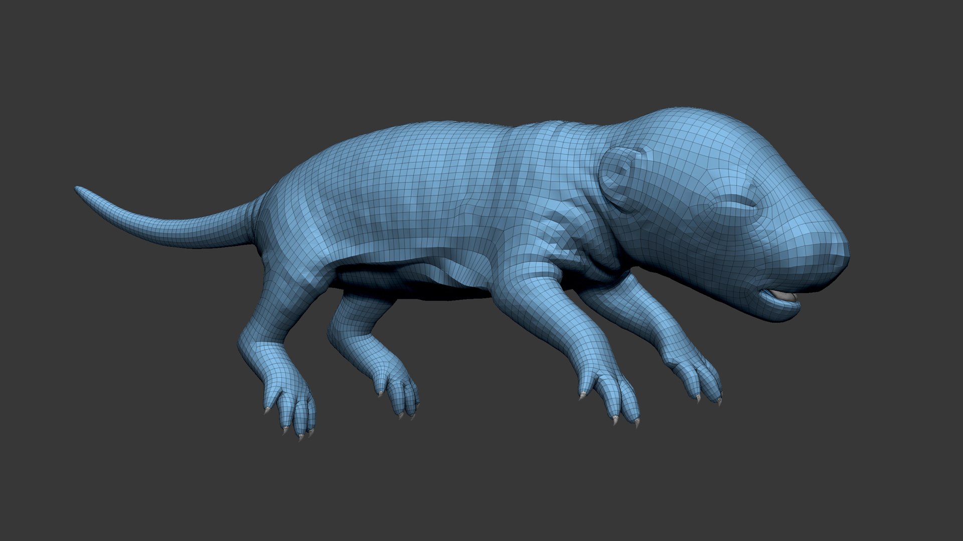 3D Model Rat Baby Newborn Zbrush Sculpt - TurboSquid 1737946