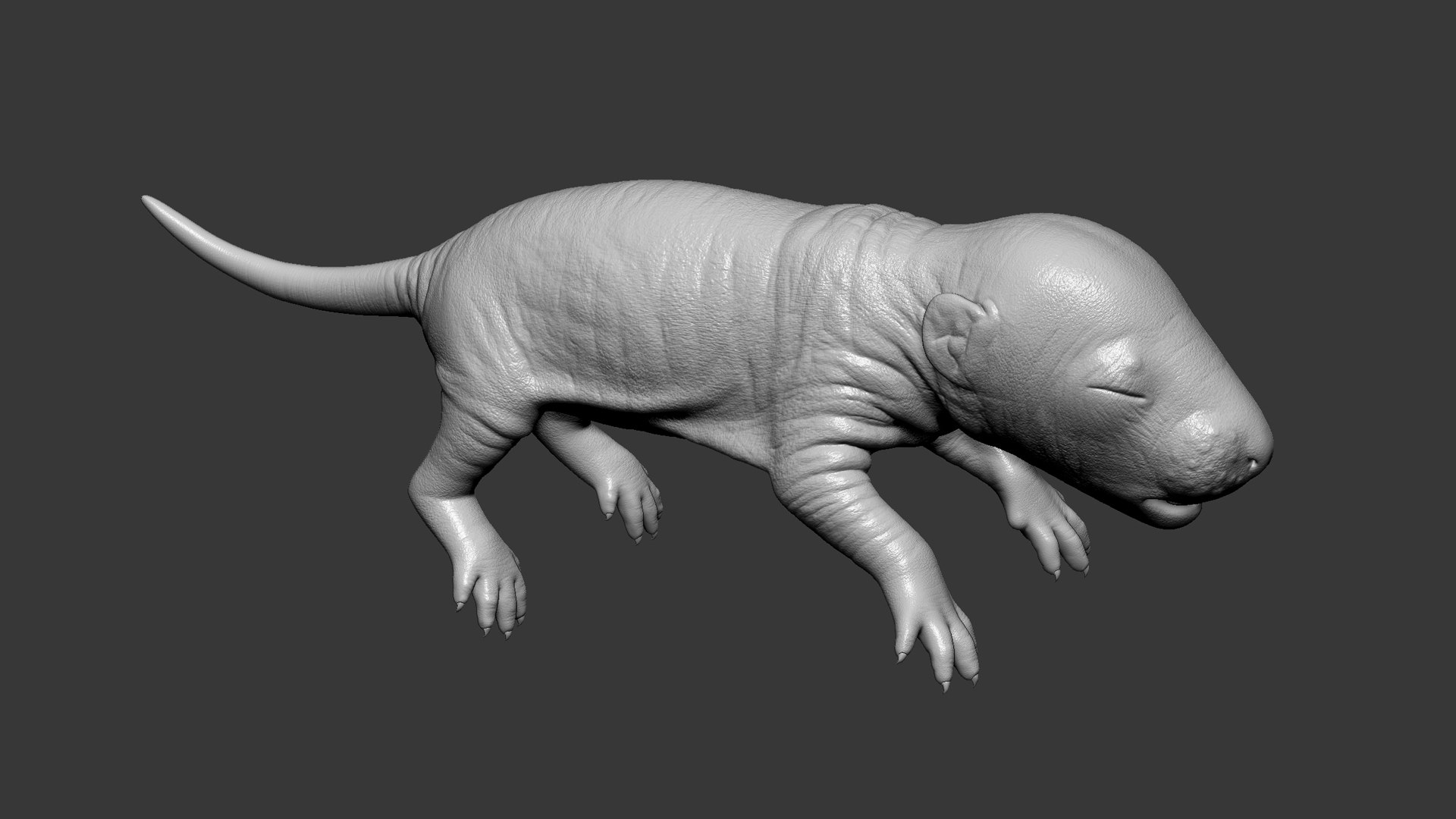 3D Model Rat Baby Newborn Zbrush Sculpt - TurboSquid 1737946
