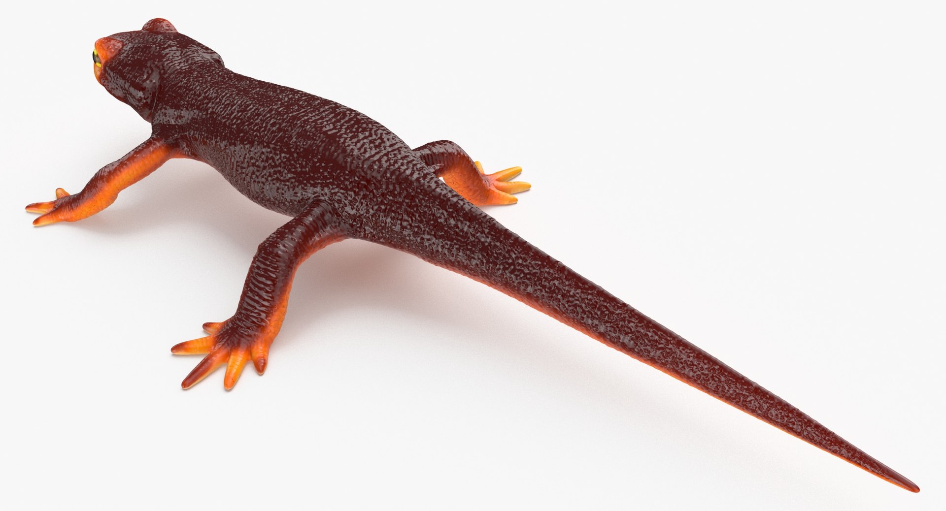 Newt 3D Model - TurboSquid 2074677