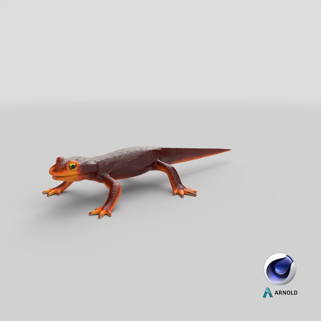 Newt 3D model - TurboSquid 2074677