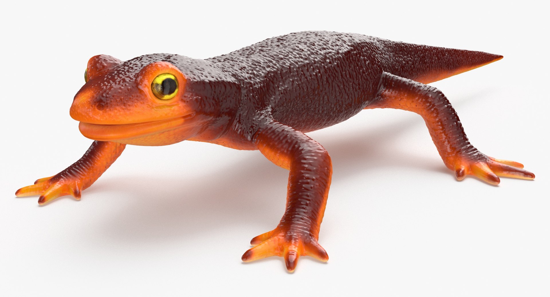 Newt 3D Model - TurboSquid 2074677