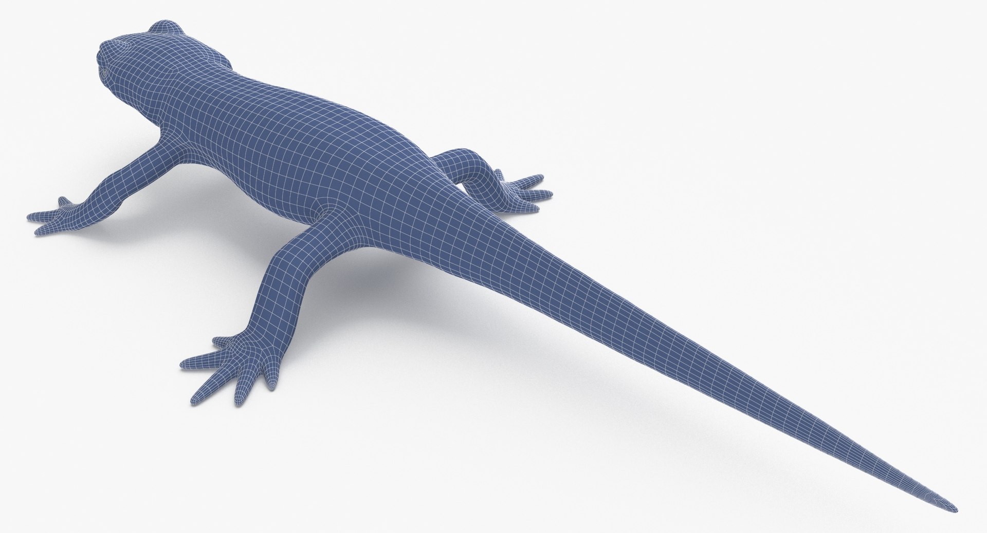 Newt 3D Model - TurboSquid 2074677