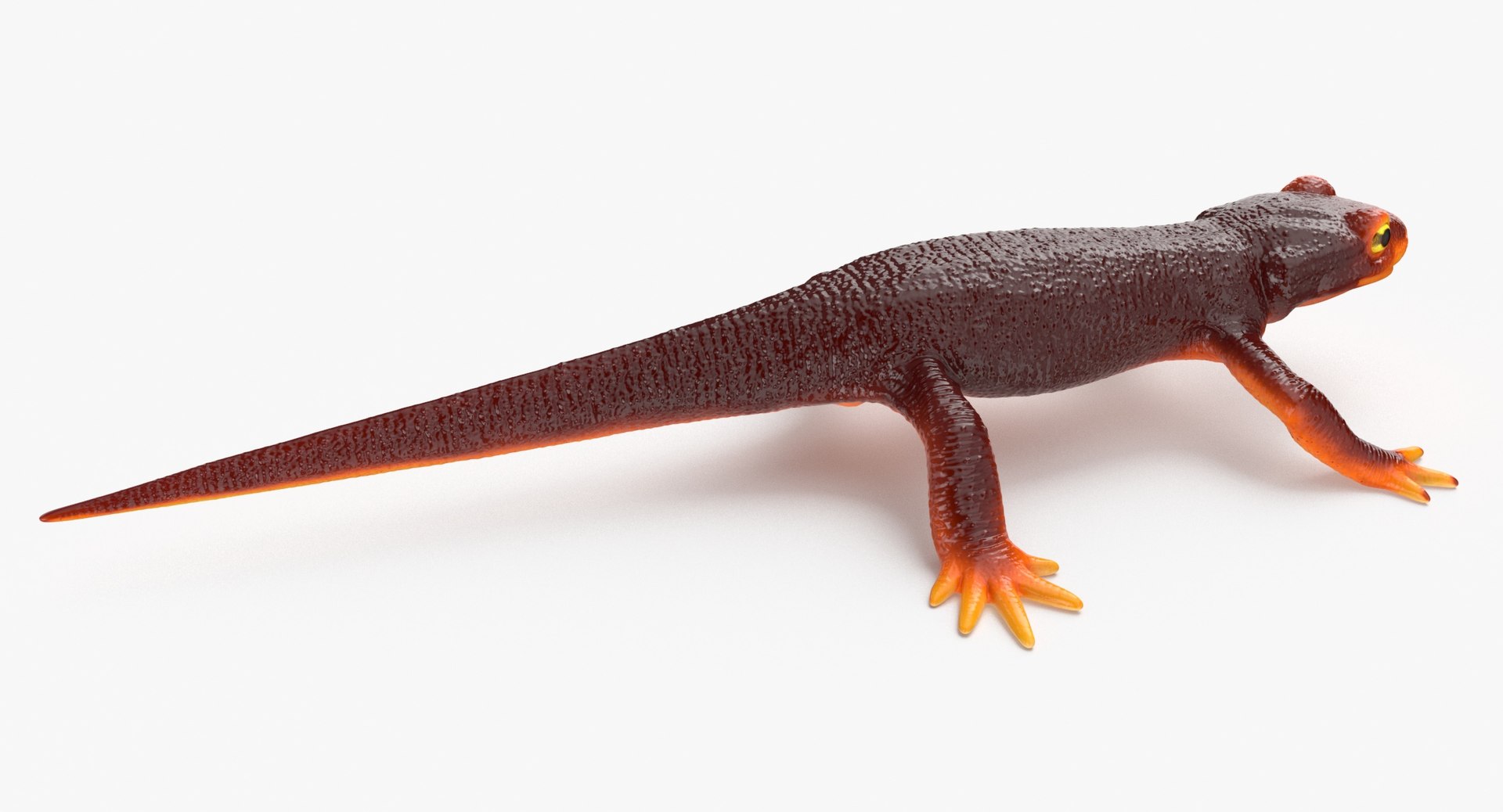 Newt 3D Model - TurboSquid 2074677
