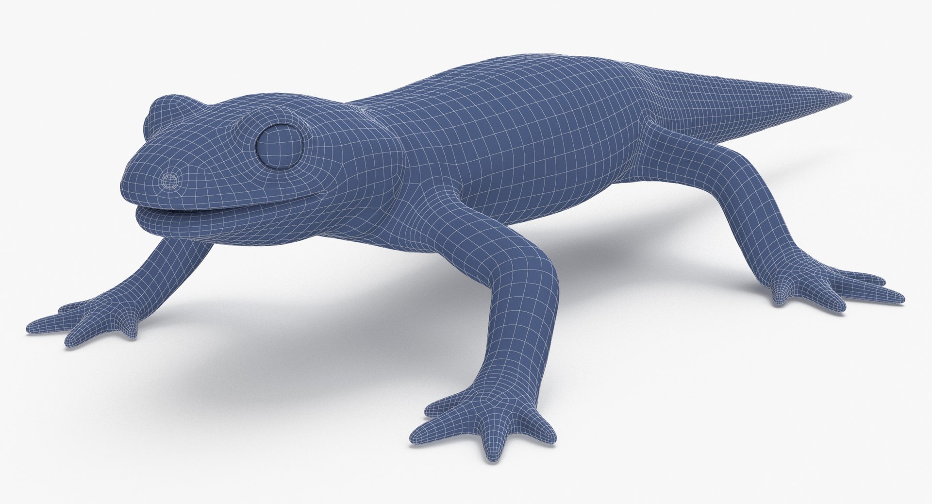 Newt 3D Model - TurboSquid 2074677
