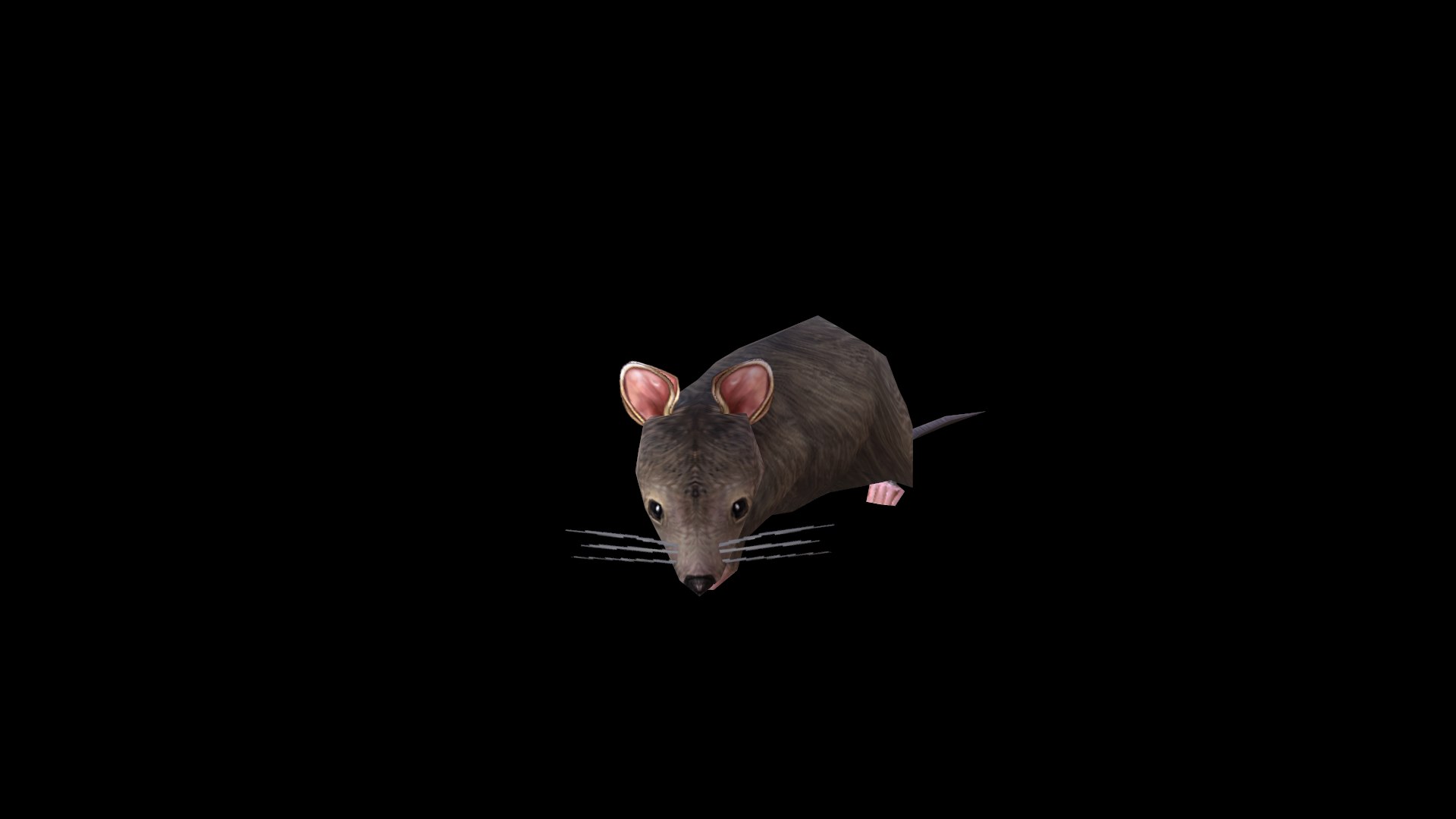 3D Animated Mouse - TurboSquid 2155011