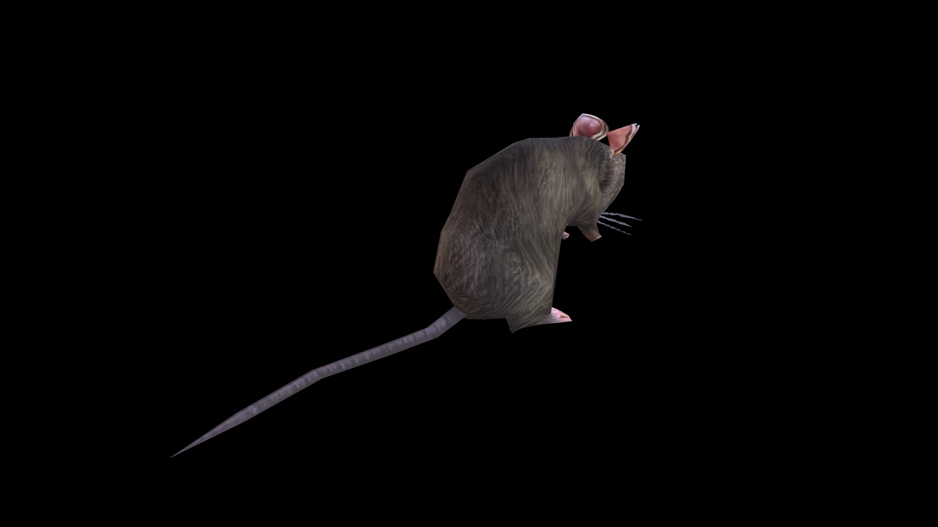 3D Animated Mouse - TurboSquid 2155011