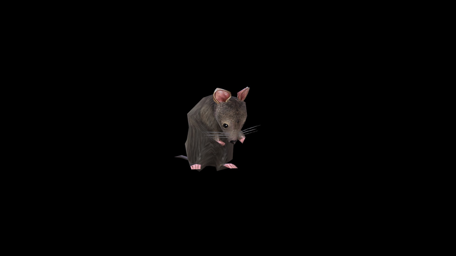 3D Animated Mouse - TurboSquid 2155011