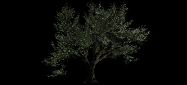 3d tree animation