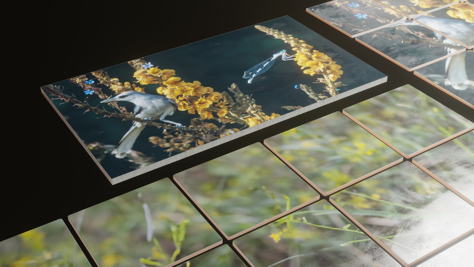 3D Nature Photo Tiles For Modern Kitchens And Bathrooms Frames ...