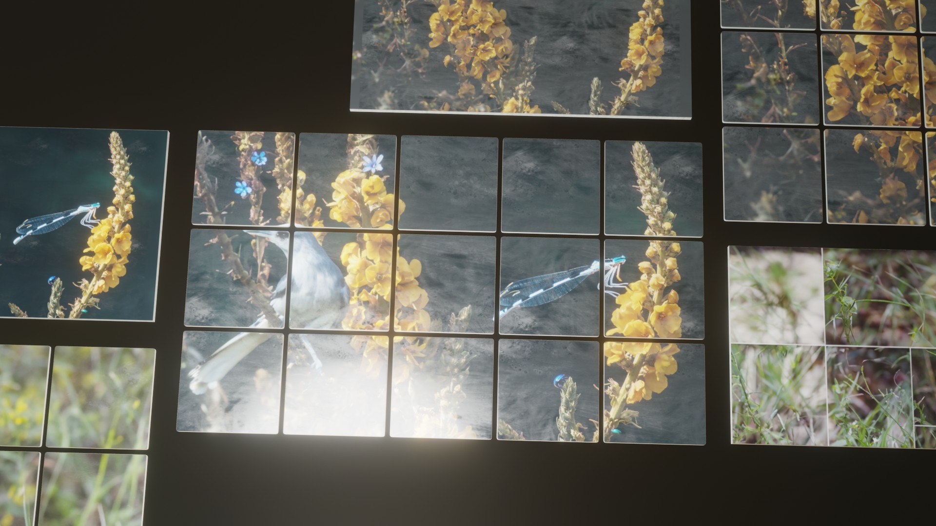 3D Nature Photo Tiles For Modern Kitchens And Bathrooms Frames ...