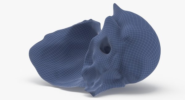 Domestic Cat Petrous Part Of The Temporal Bone 01 3D - TurboSquid 1869436