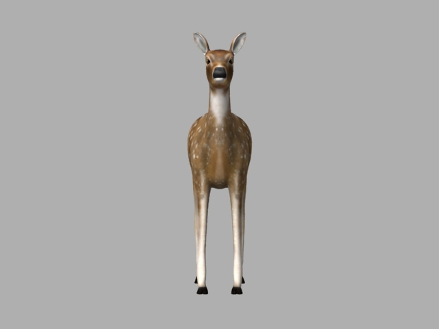 3D Animal Model - TurboSquid 1391654