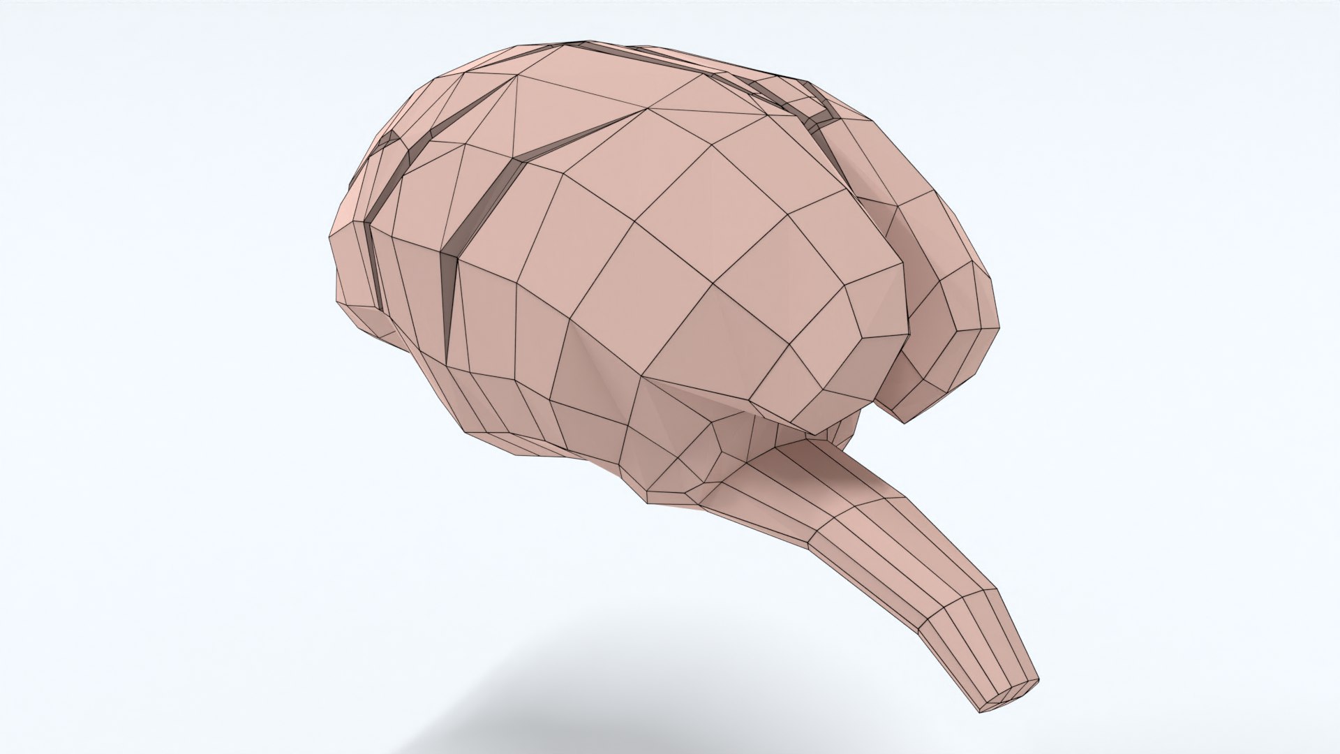 3D Low Poly Cartoon Monkey Brain - TurboSquid 1897844