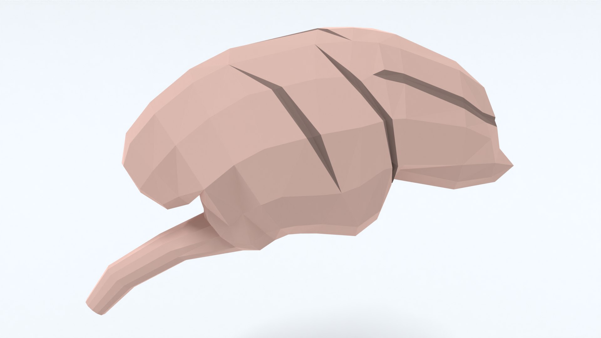 3D Low Poly Cartoon Monkey Brain - TurboSquid 1897844