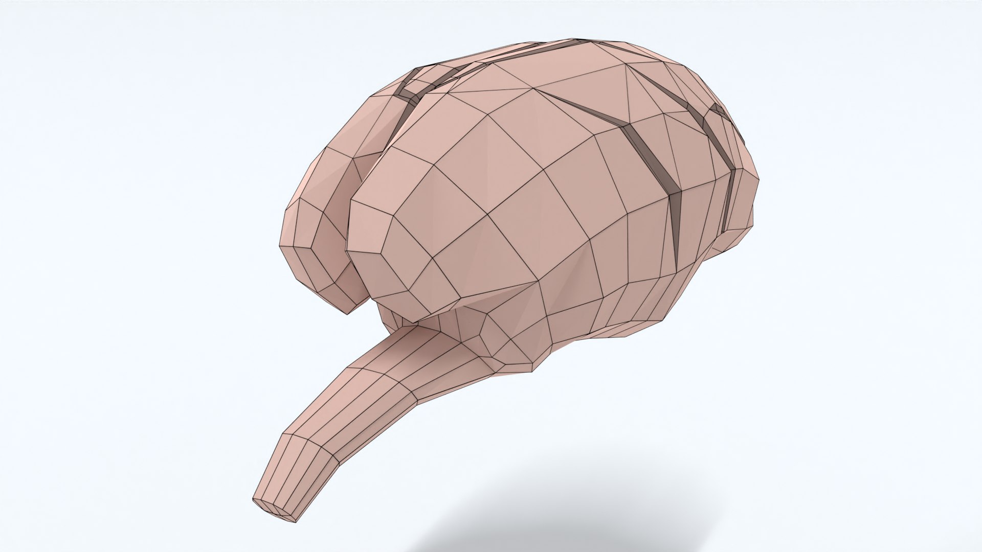 3D Low Poly Cartoon Monkey Brain - TurboSquid 1897844