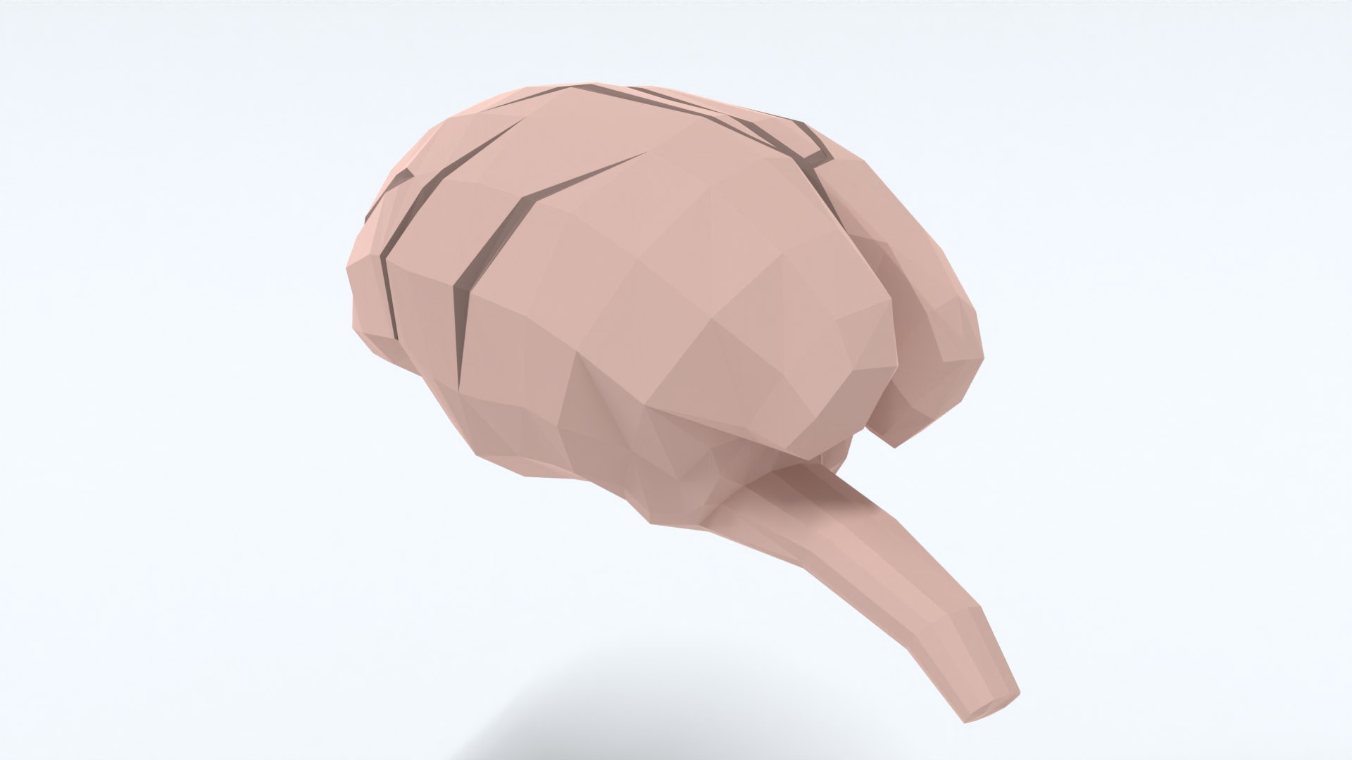 3D Low Poly Cartoon Monkey Brain - TurboSquid 1897844