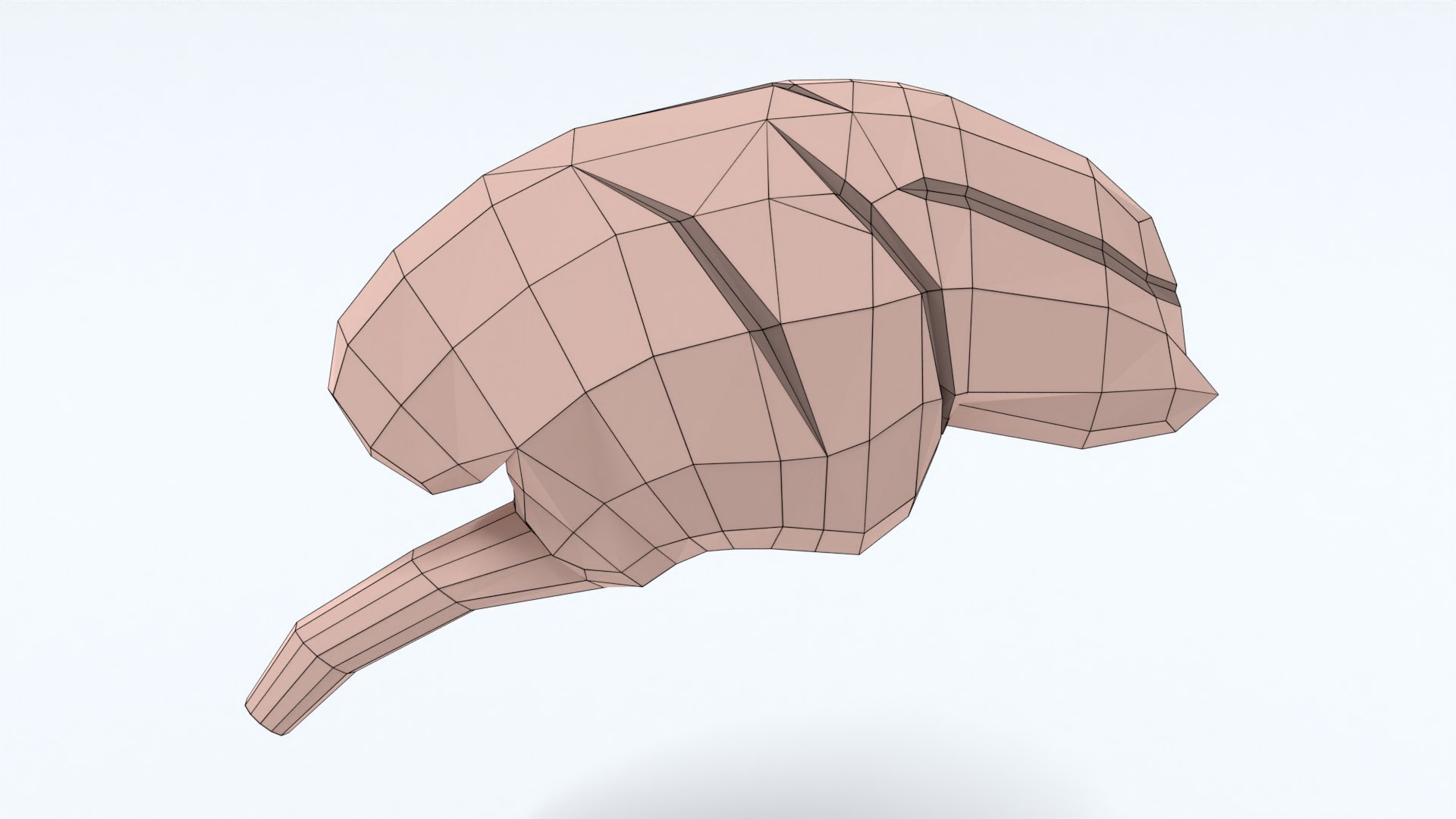 3D Low Poly Cartoon Monkey Brain - TurboSquid 1897844