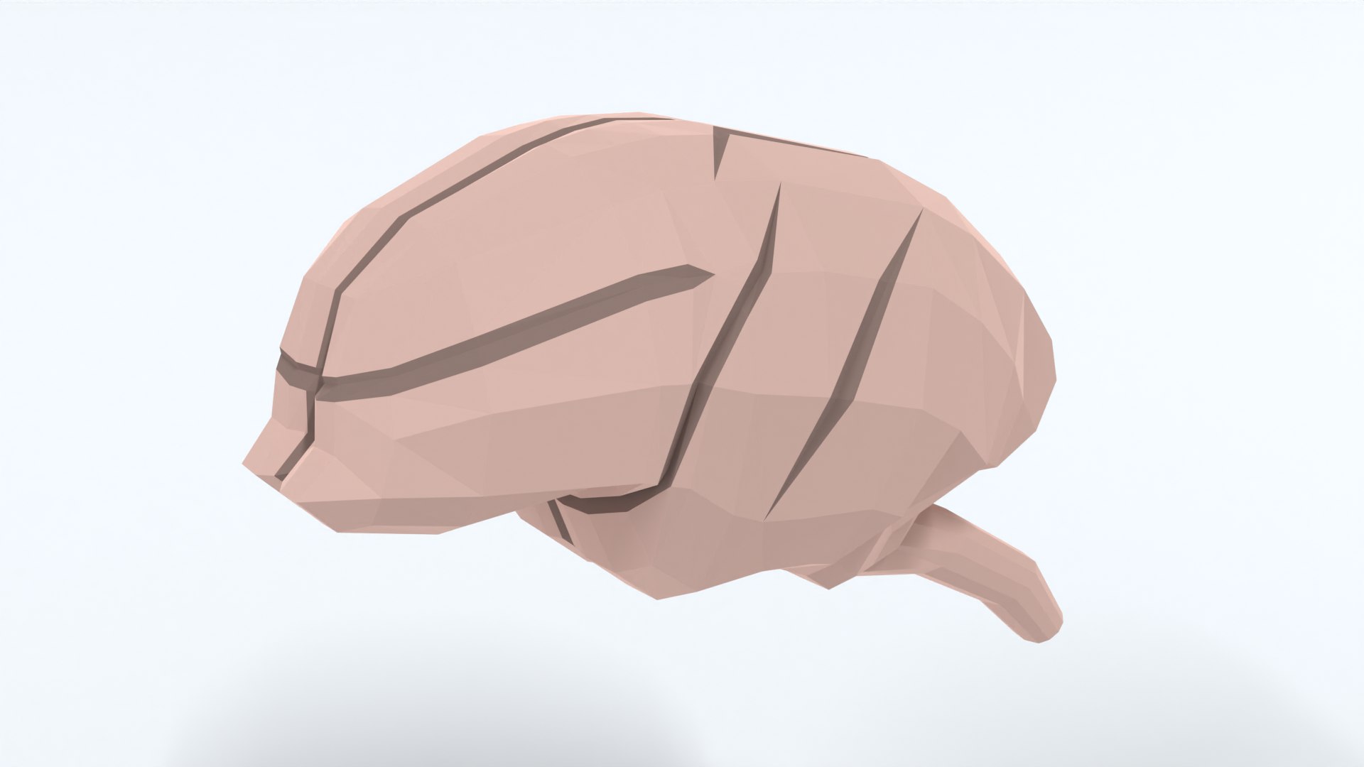 3D Low Poly Cartoon Monkey Brain - TurboSquid 1897844