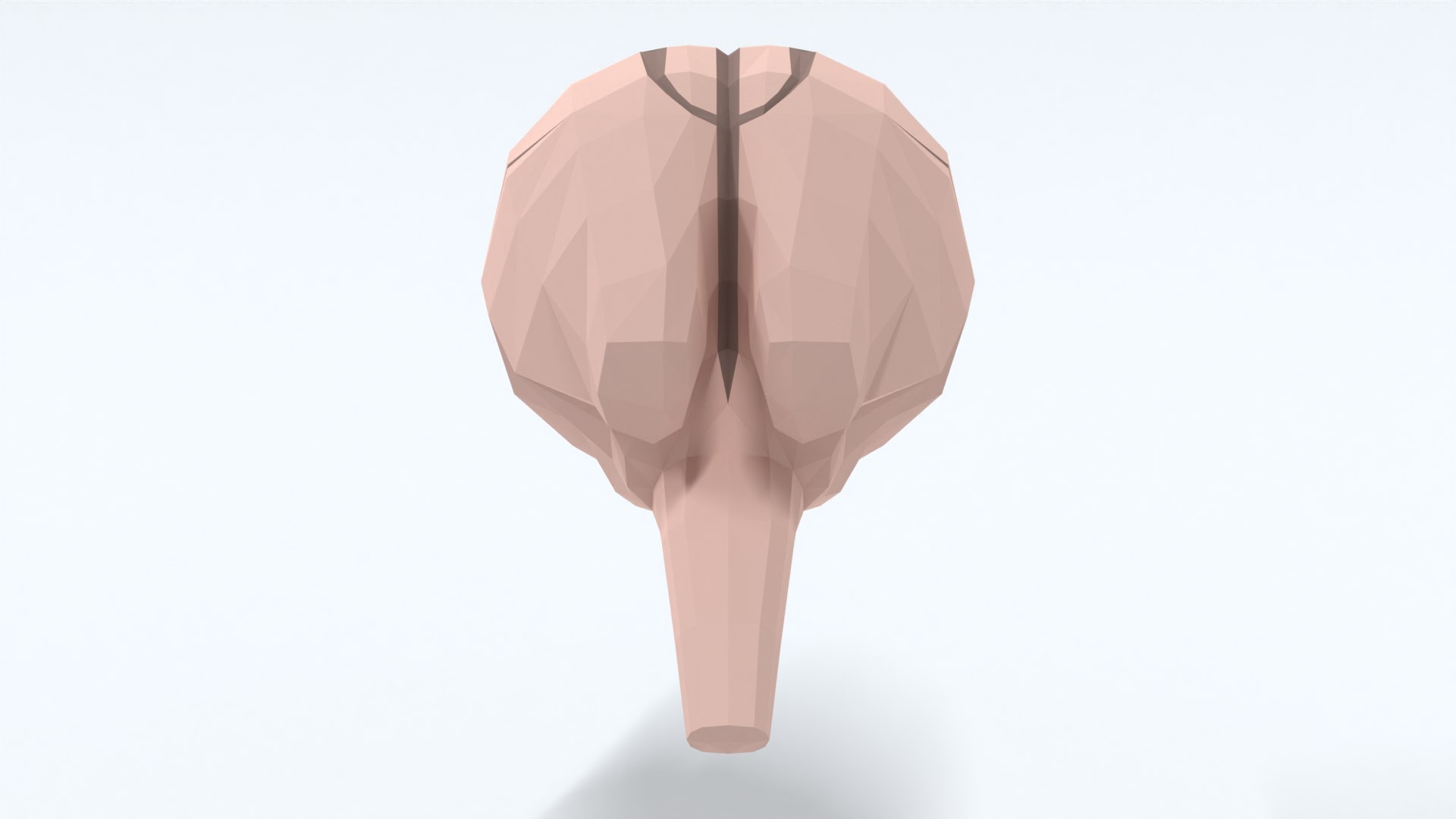 3D Low Poly Cartoon Monkey Brain - TurboSquid 1897844