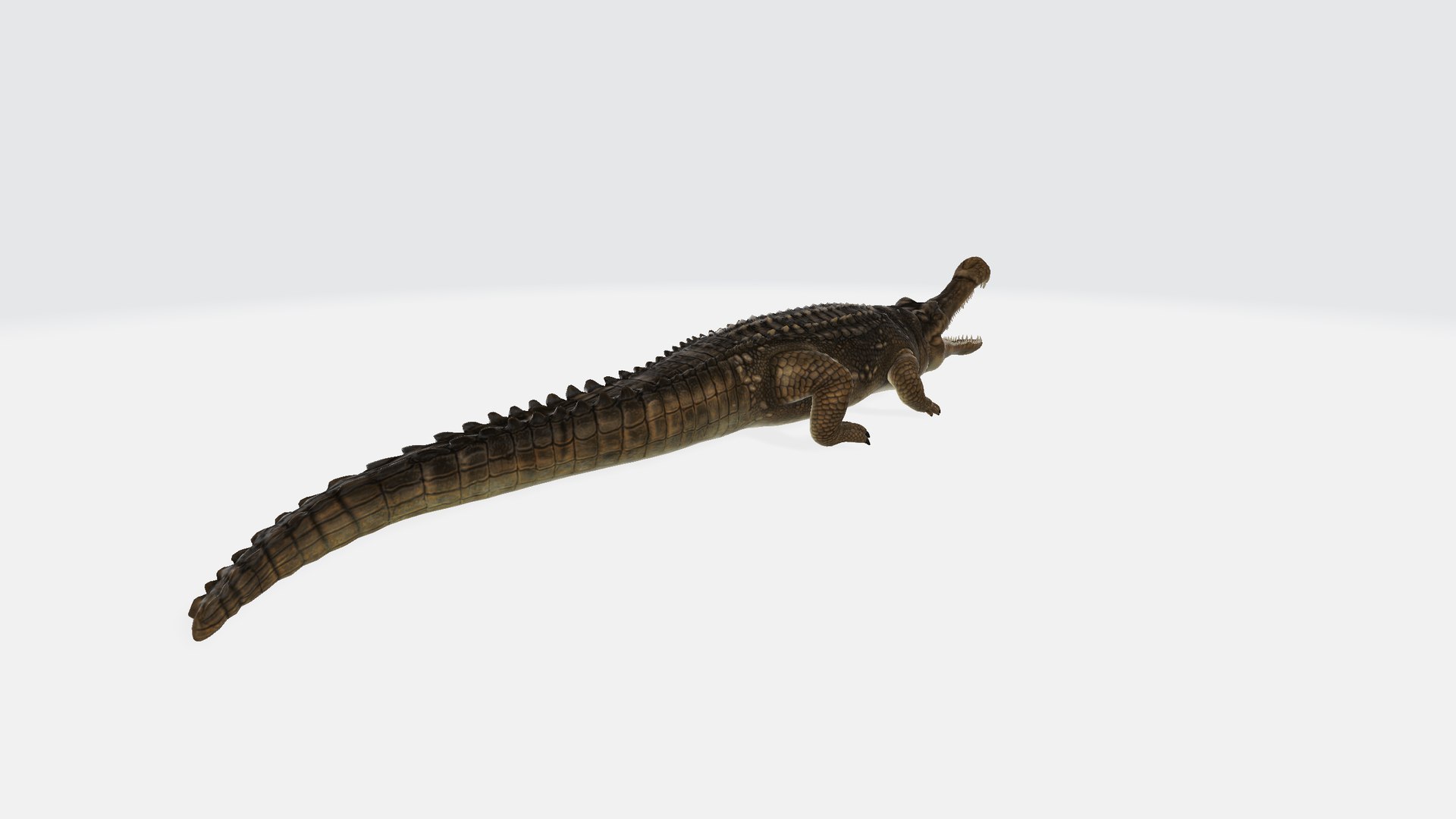 3D Sarcosuchus Model - TurboSquid 2346278