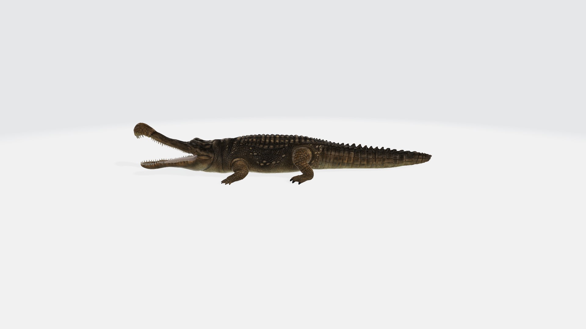 3D Sarcosuchus Model - TurboSquid 2346278