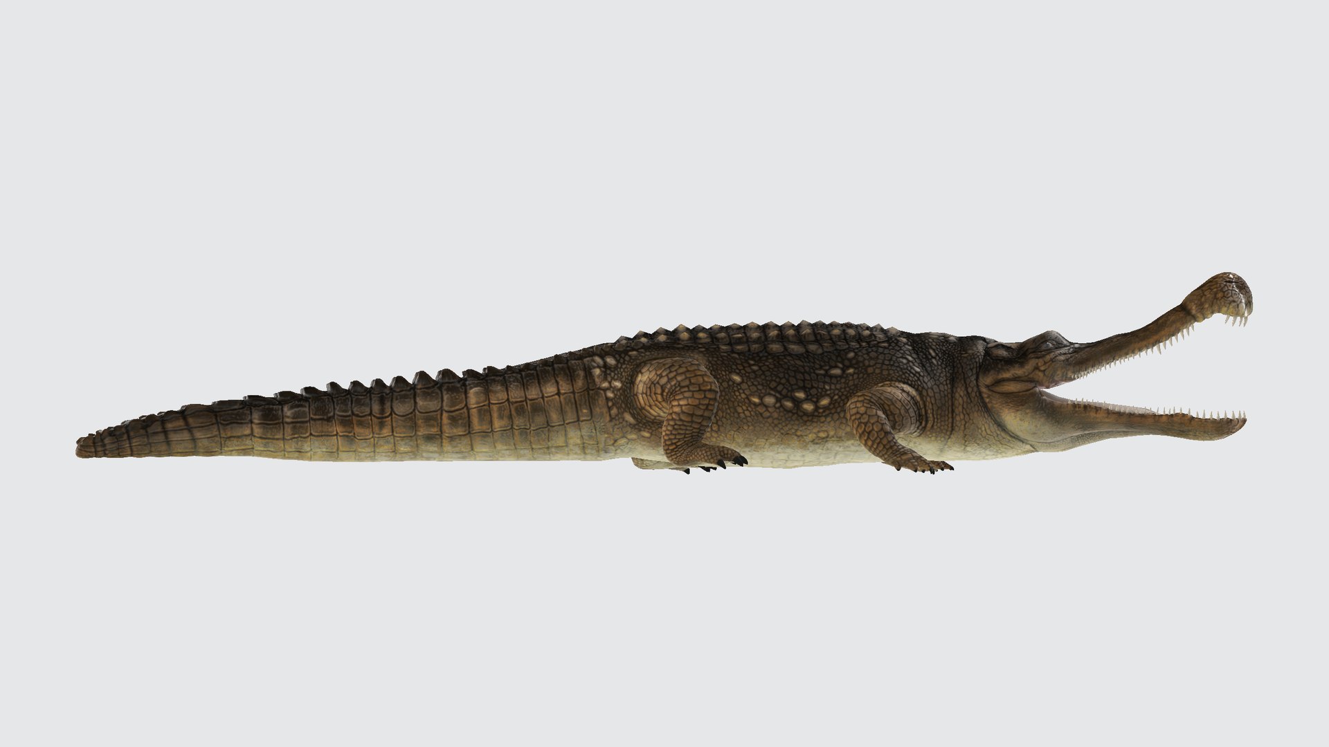 3D Sarcosuchus Model - TurboSquid 2346278
