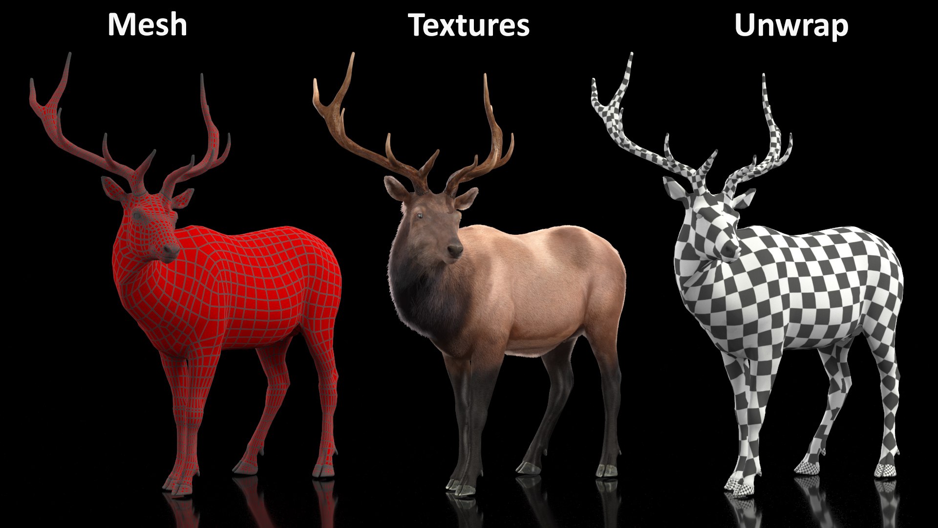 3D Realistic Elk Standing Pose With Fur Model - TurboSquid 2268297