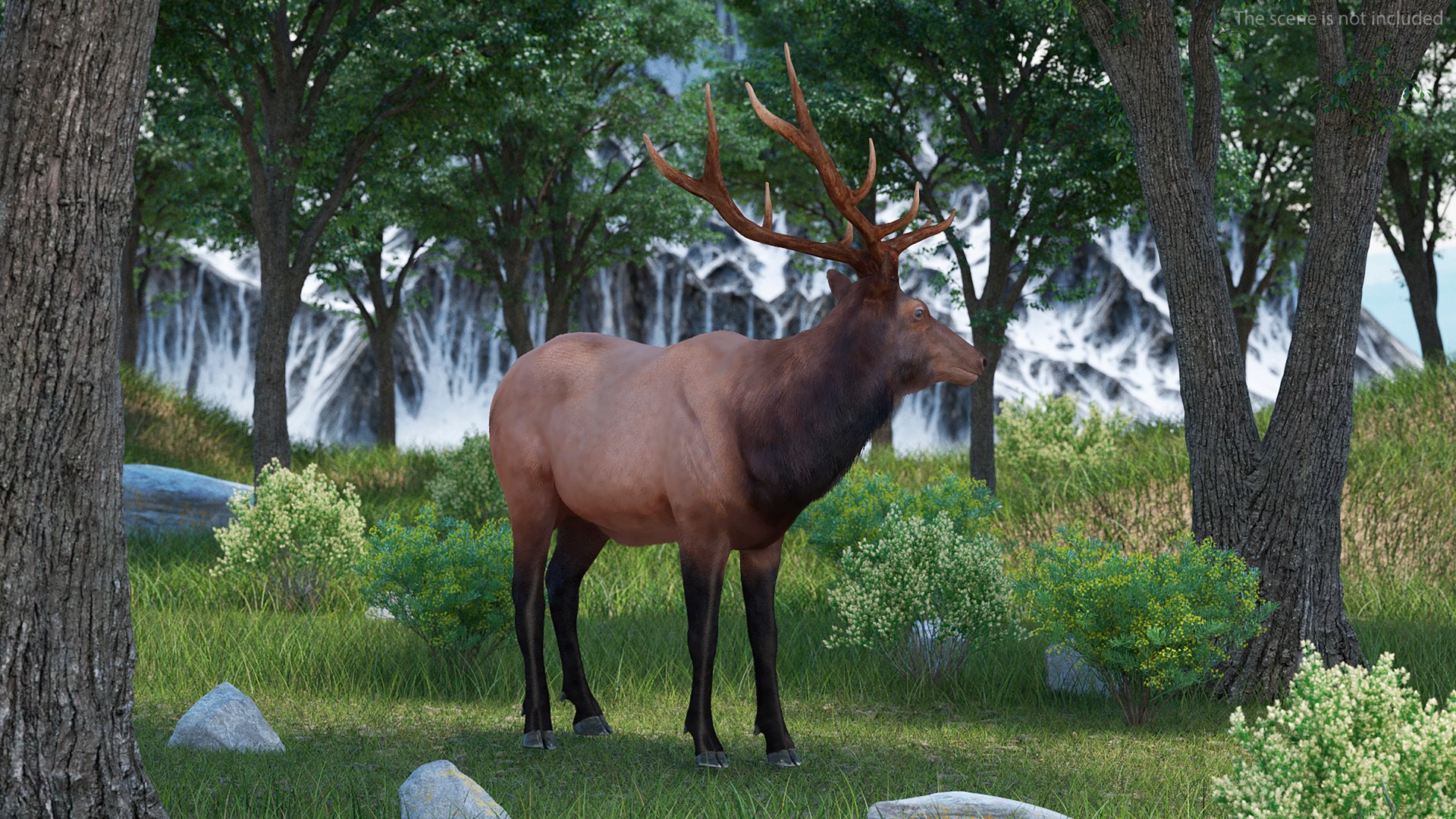 3D Realistic Elk Standing Pose With Fur Model - TurboSquid 2268297