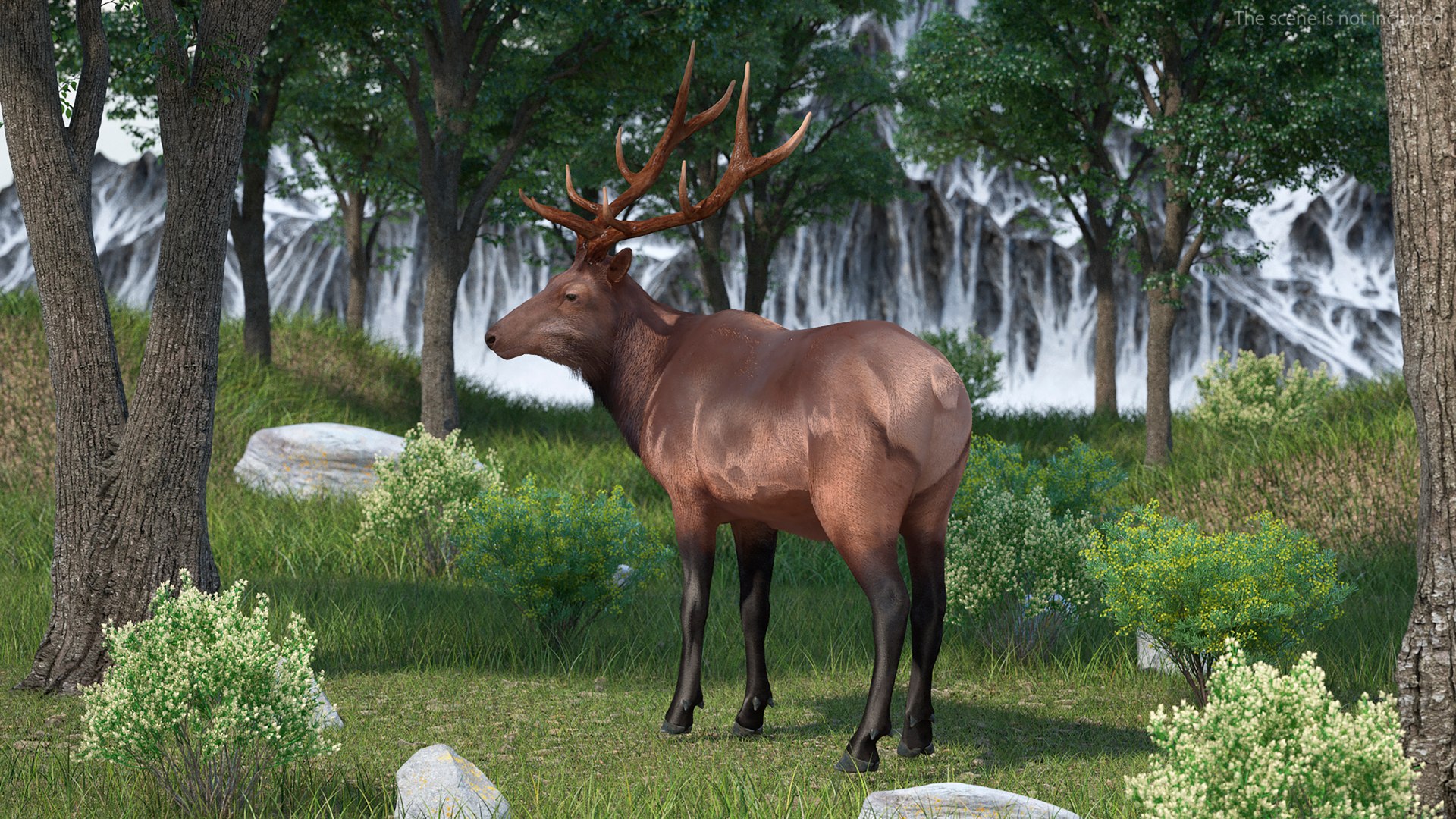 3D Realistic Elk Standing Pose With Fur Model - TurboSquid 2268297