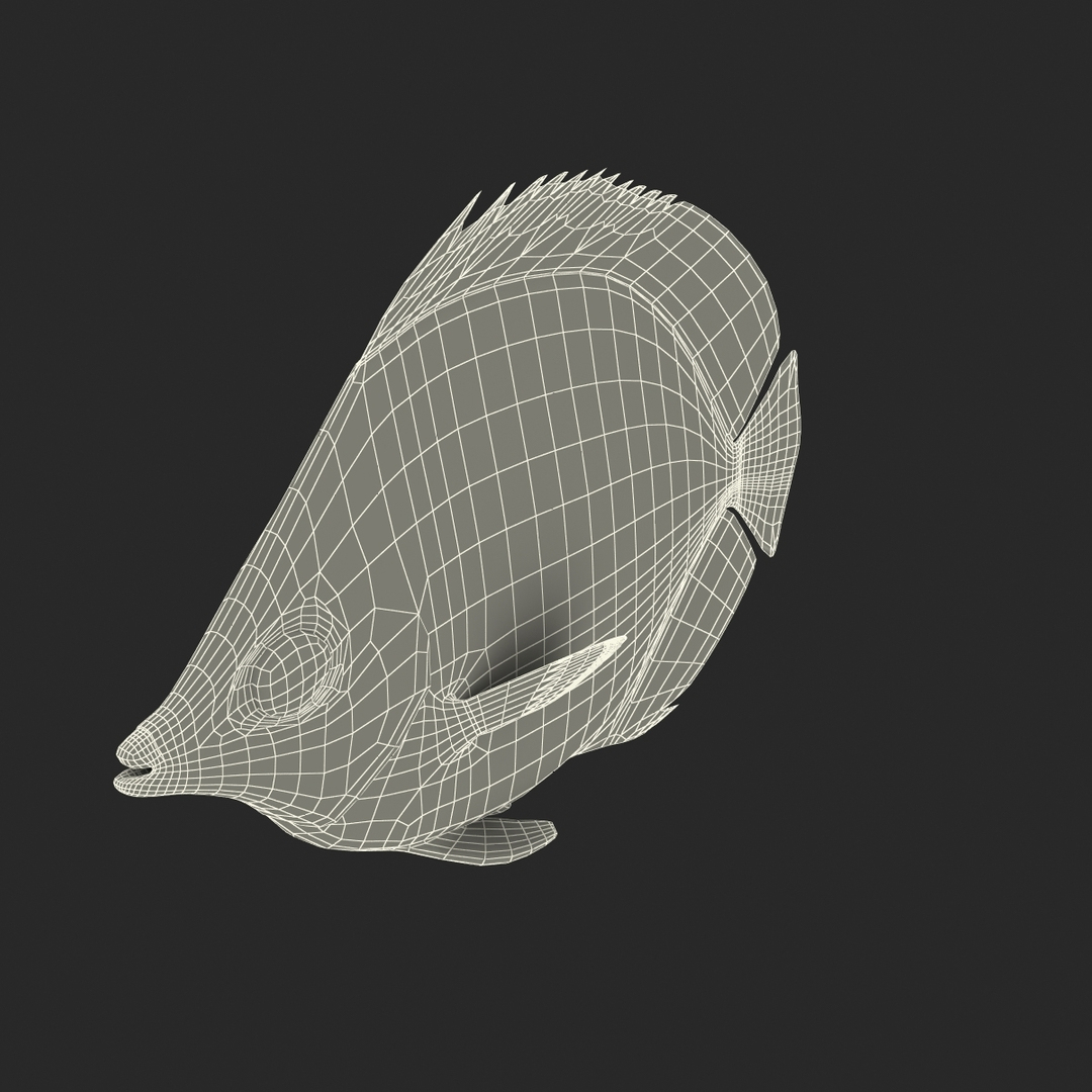 3d Max Butterfly Fish