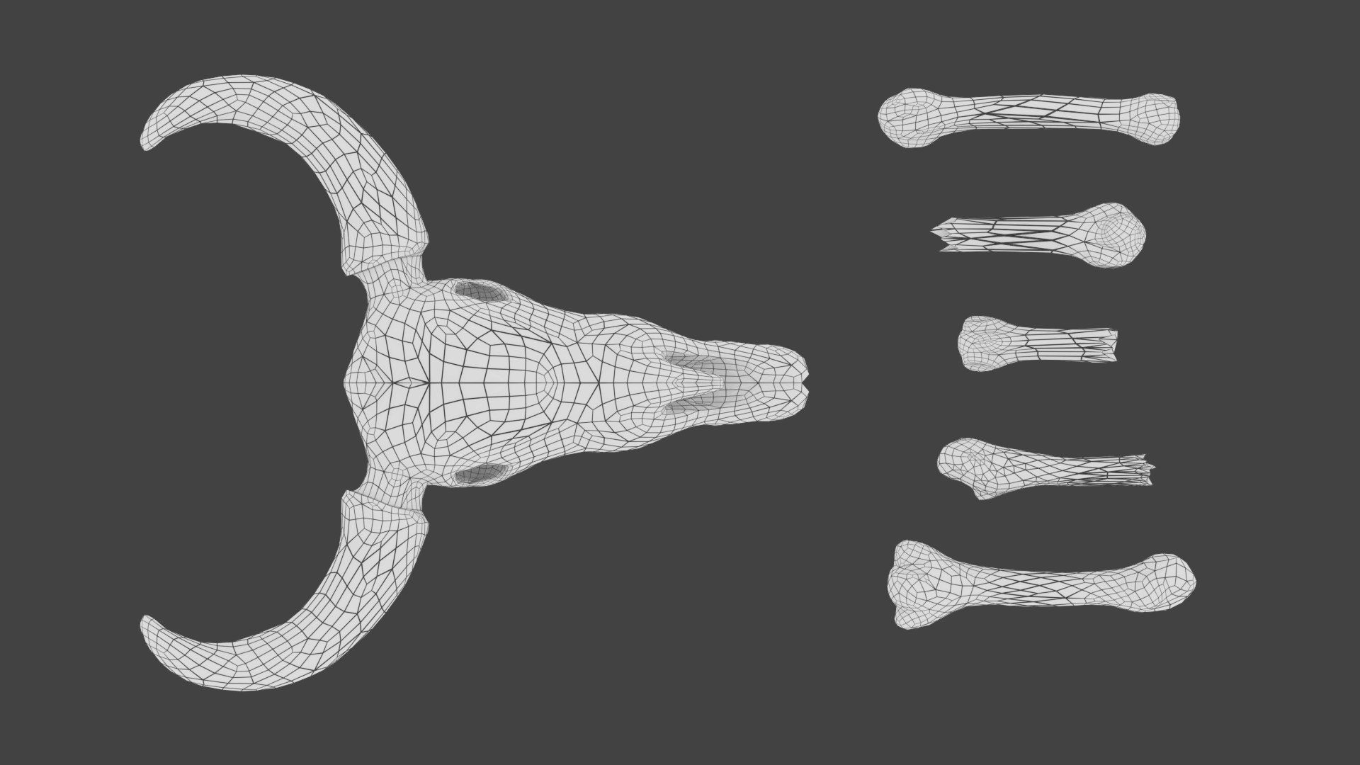 3D Animal Bone With Skull Model - TurboSquid 1948371
