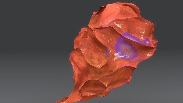 Ovary 3D Models for Download | TurboSquid