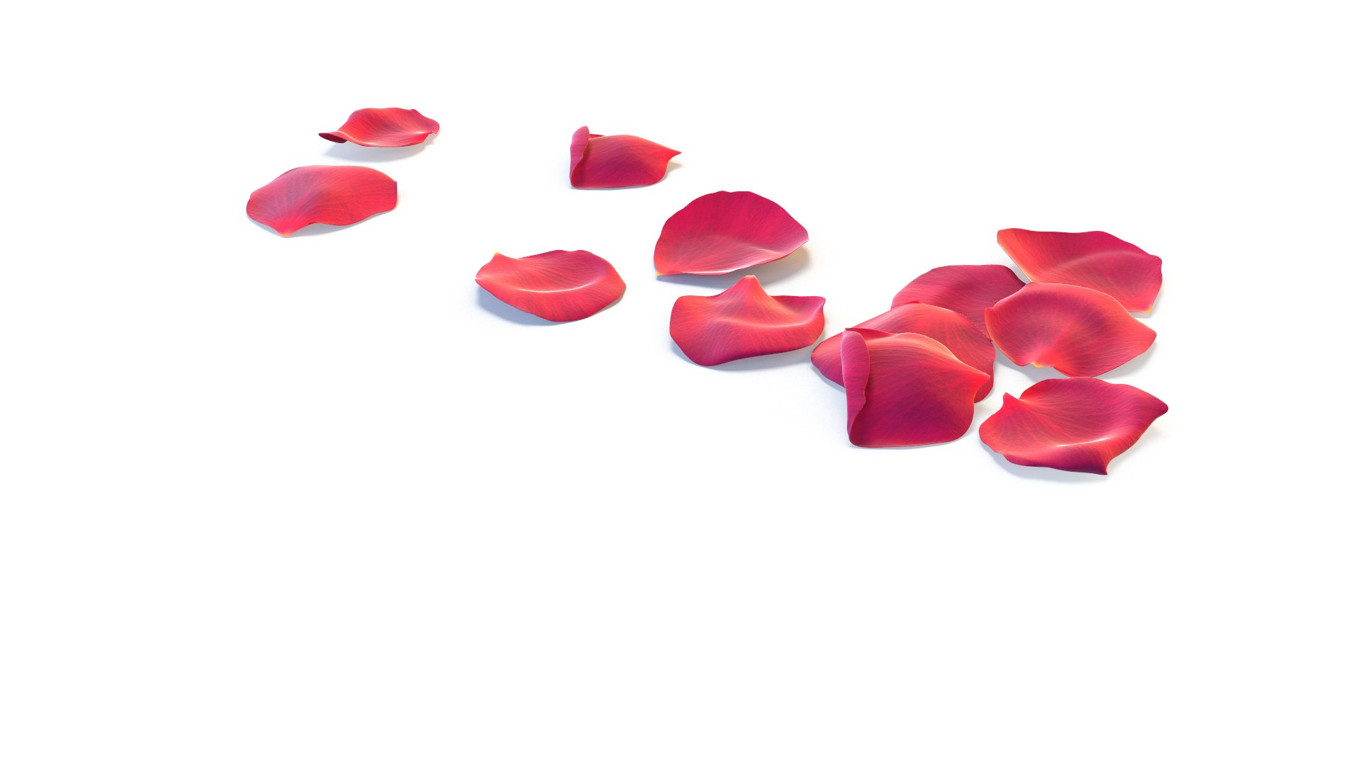 3D Model Realistic Rose Petals 3D Model - High-Quality 4K PBR Asset ...