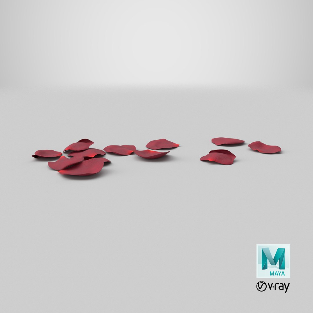3D Model Realistic Rose Petals 3D Model - High-Quality 4K PBR Asset ...