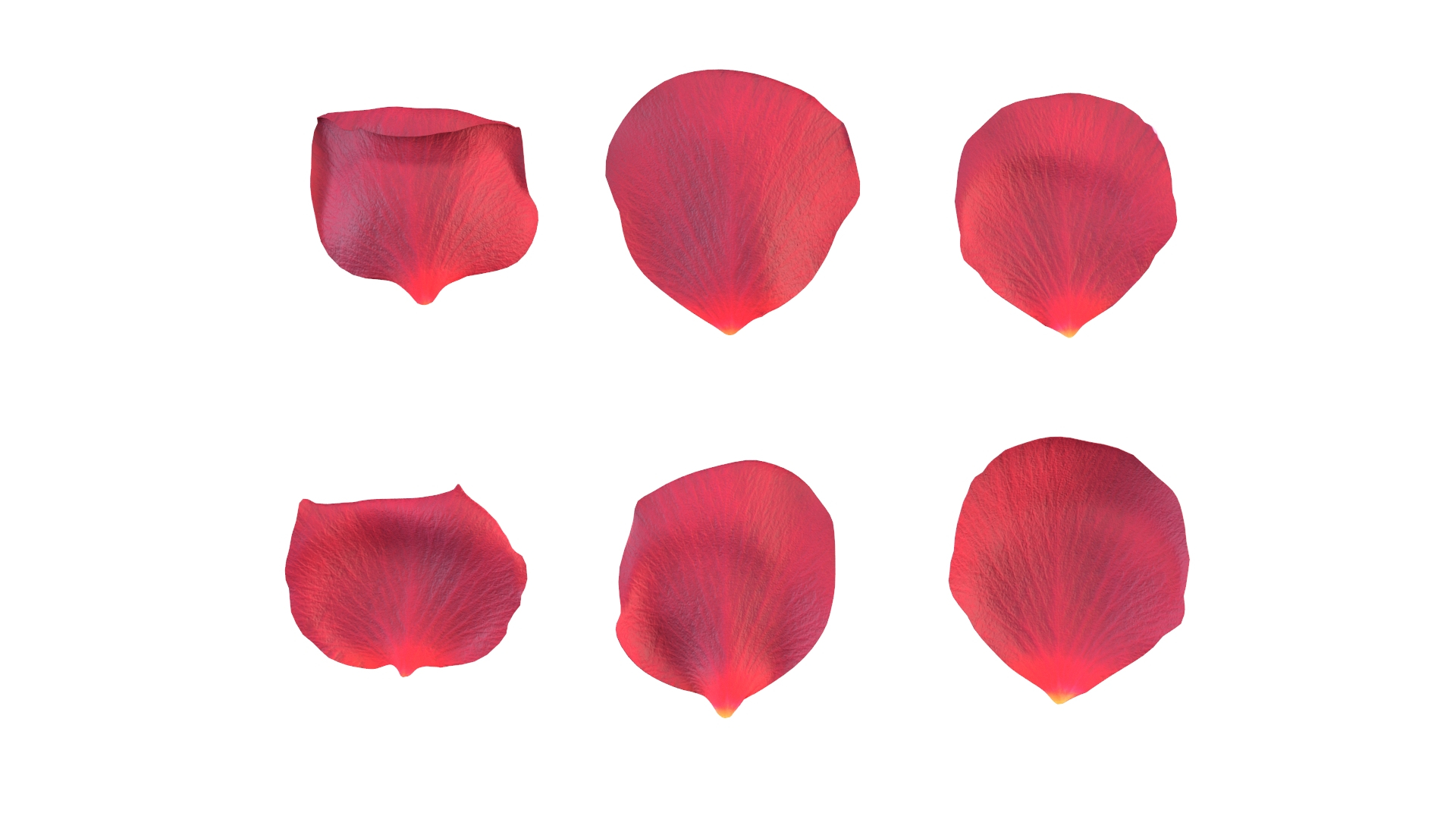 3D Model Realistic Rose Petals 3D Model - High-Quality 4K PBR Asset ...