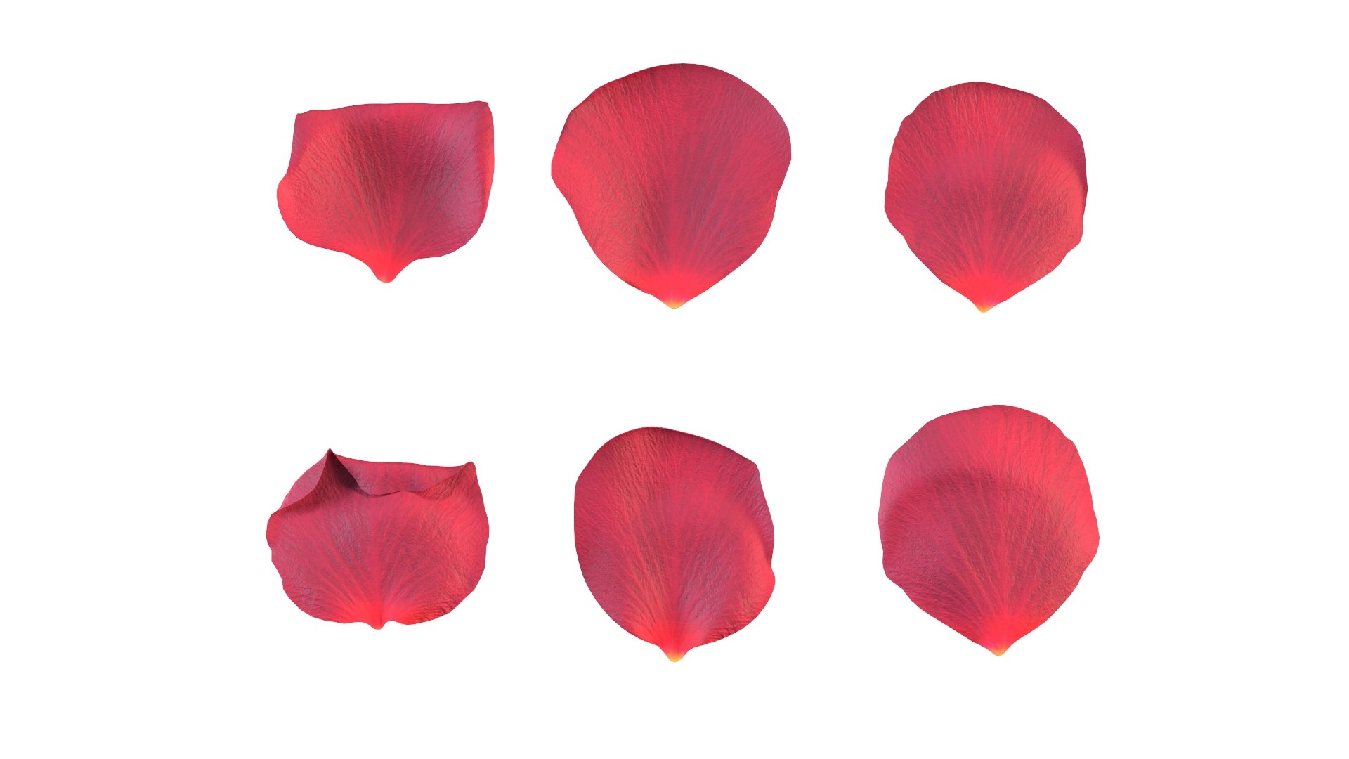 3D Model Realistic Rose Petals 3D Model - High-Quality 4K PBR Asset ...
