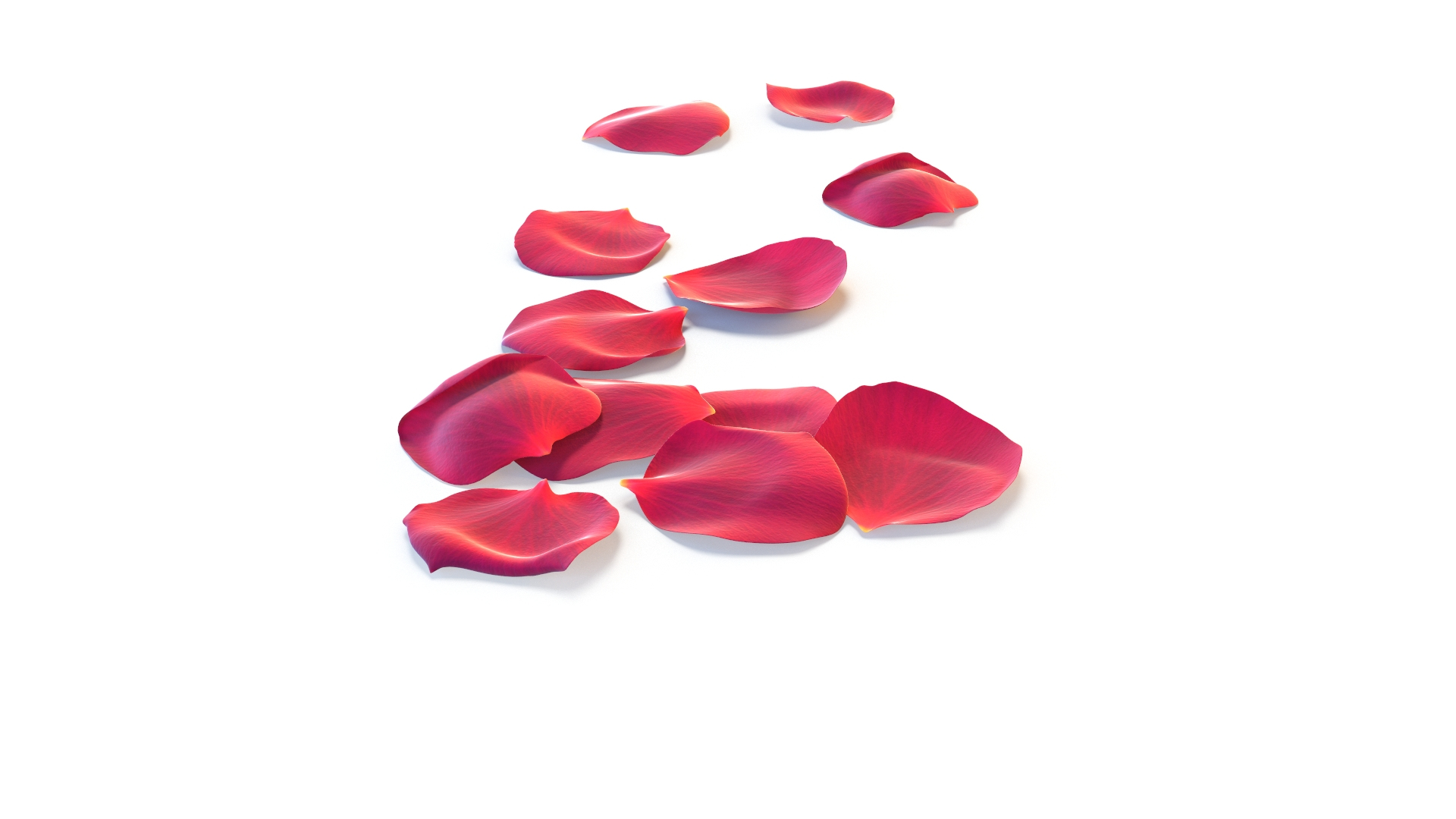 3D Model Realistic Rose Petals 3D Model - High-Quality 4K PBR Asset ...