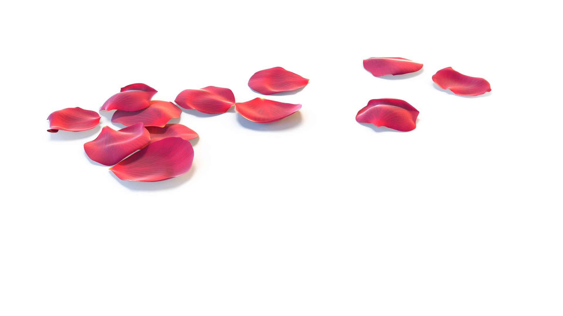 3D Model Realistic Rose Petals 3D Model - High-Quality 4K PBR Asset ...