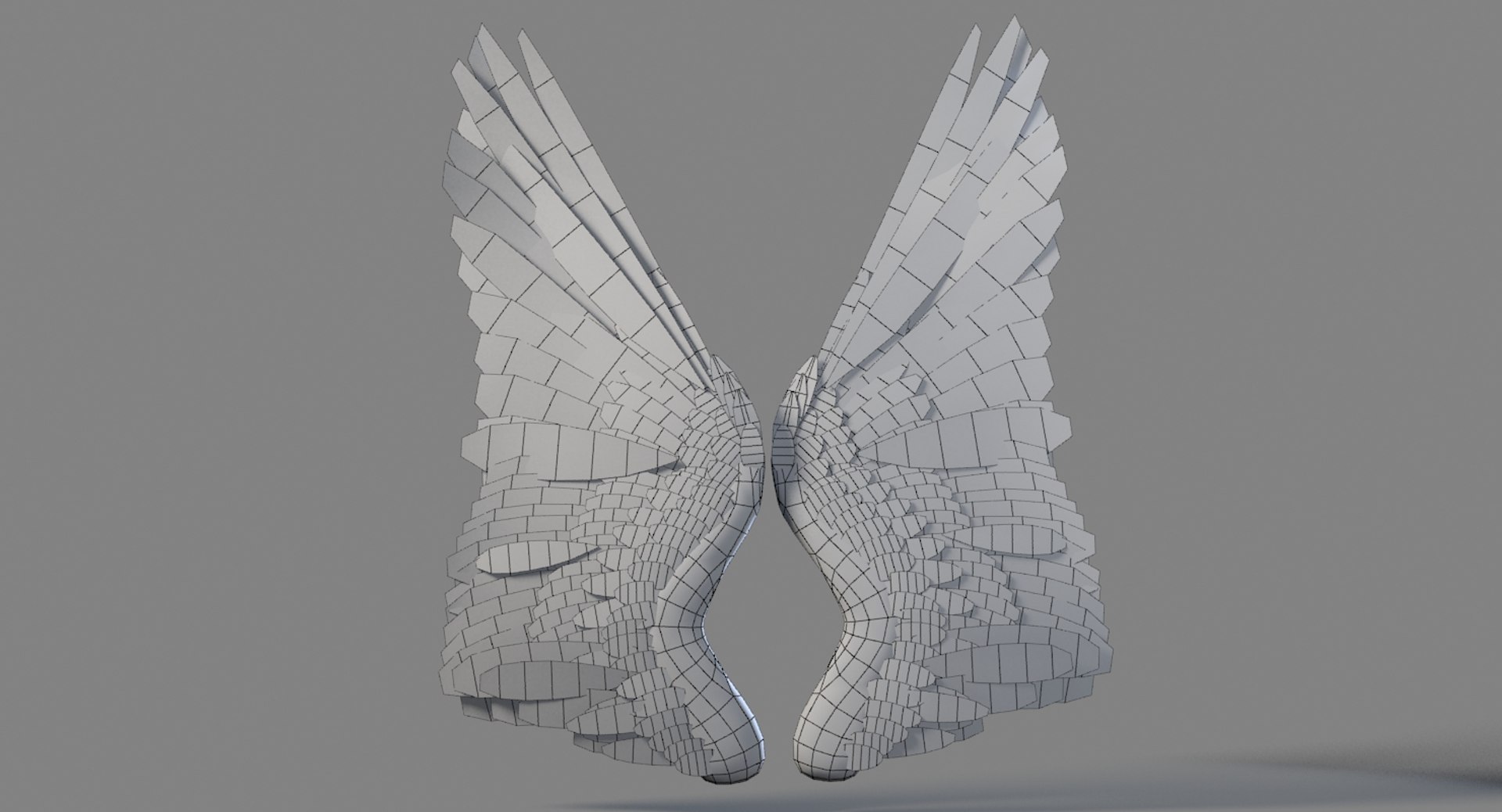 Realistic Wings 3d Model