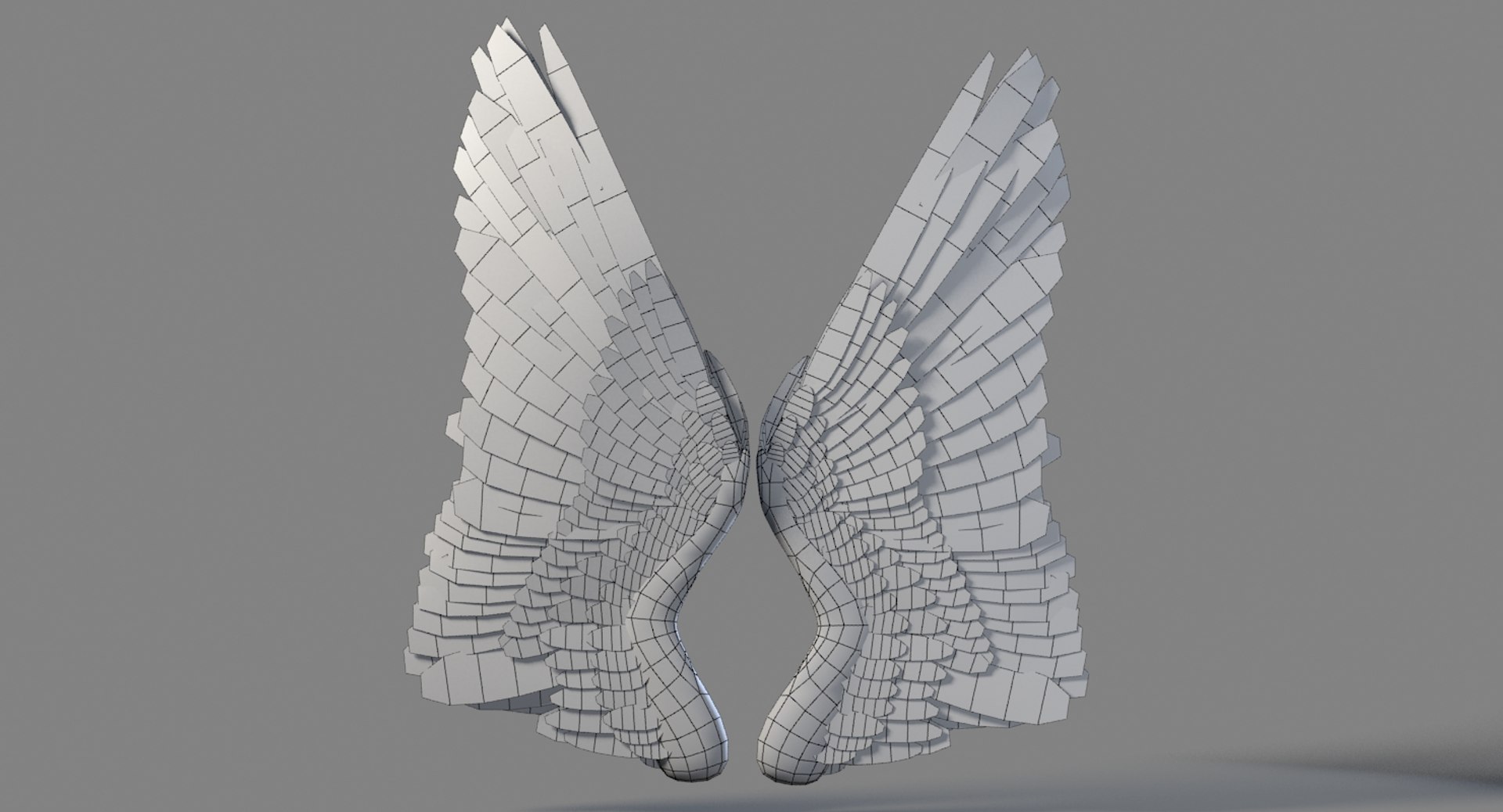 Realistic Wings 3d Model
