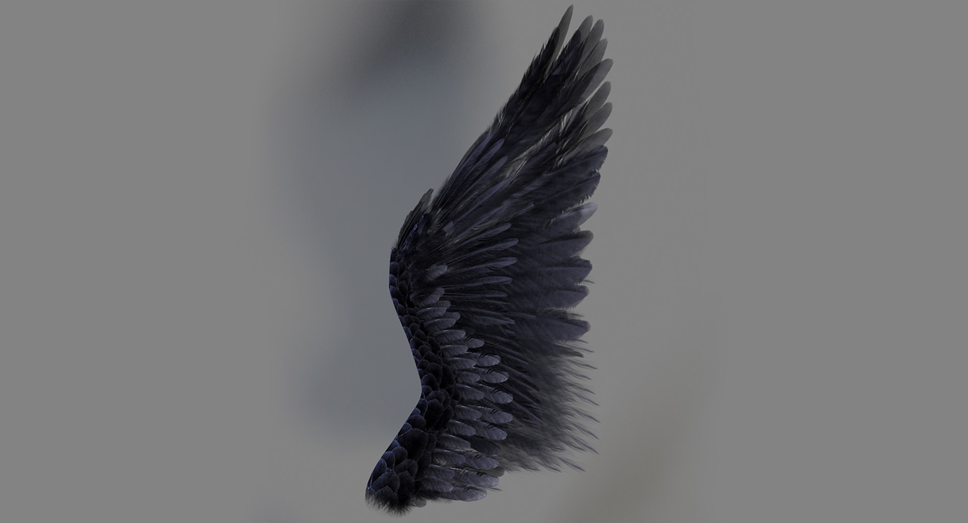Realistic Wings 3d Model