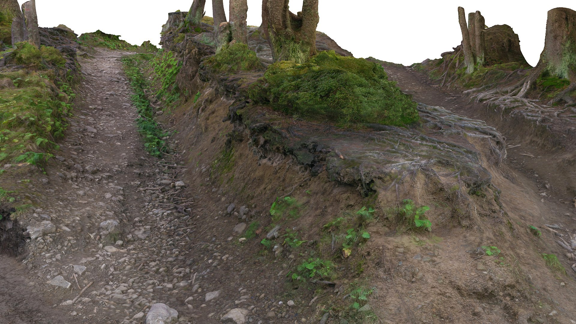 3d Forest Ultra Hd 24k Model