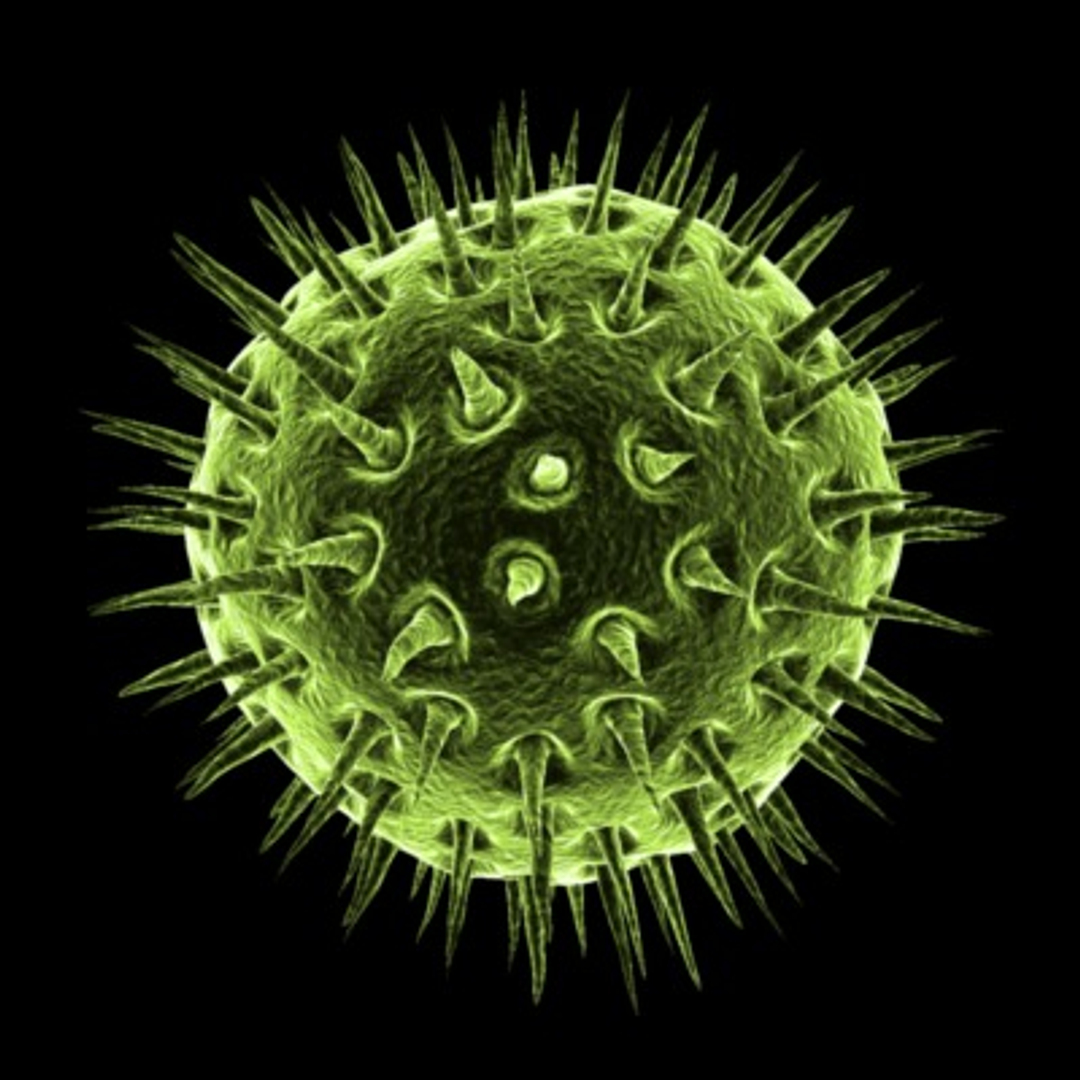 microscopic virus cell 3ds