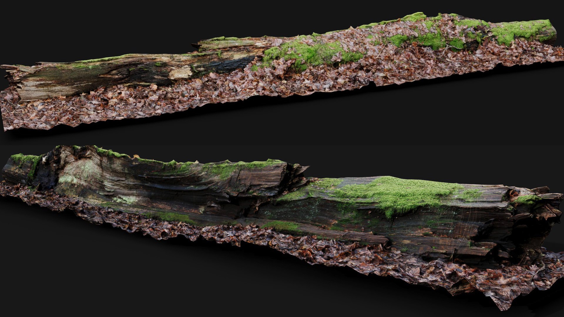 Forest Ground Mossy Tree Trunk Debris Pt10 Photogrammetry Model ...